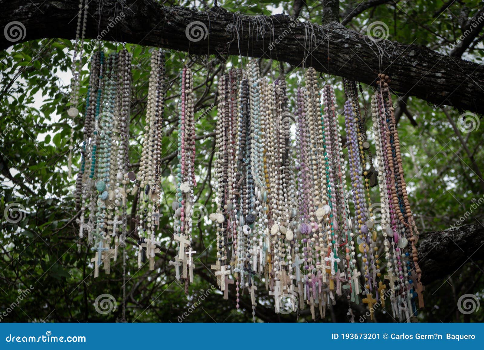 Rosaries Hanging from a Tree Stock Image - Image of pray, meditate ...