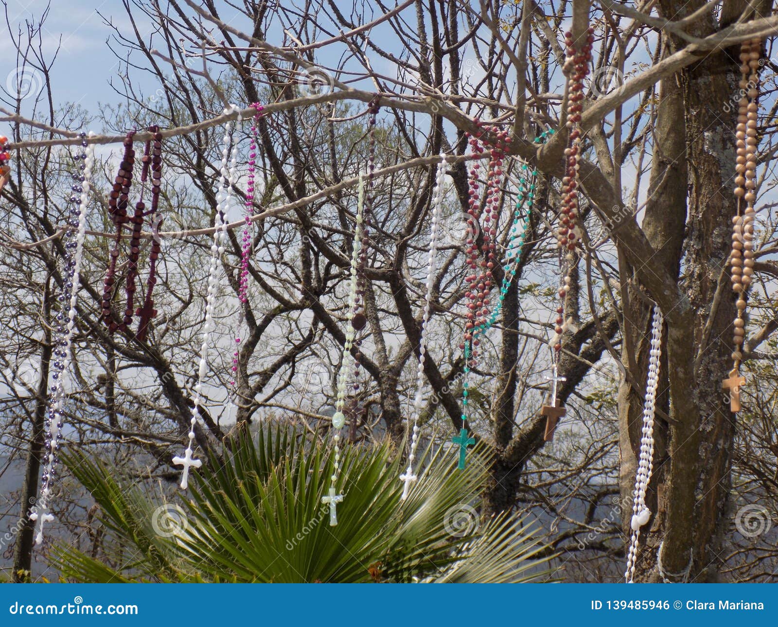 Rosaries Hung in the Trees. Stock Photo - Image of hill, trees: 139485946