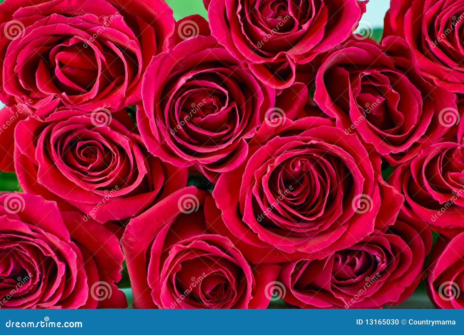 Rosas Bastante Rojas Empiladas Juntas. Foto de archivo - Imagen de ramo ...