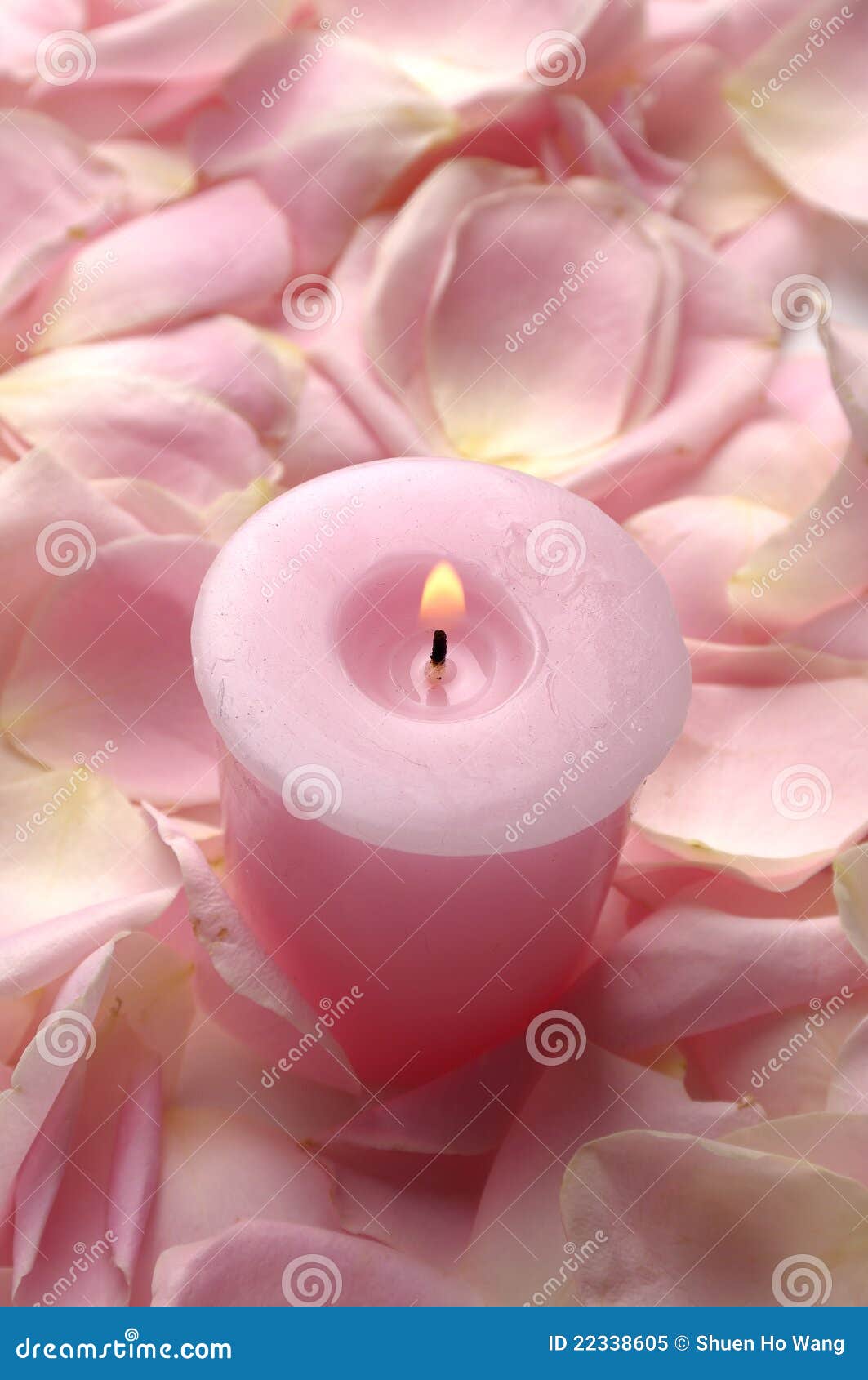 Rosas cor-de-rosa com vela imagem de stock. Imagem de frescor - 22338605