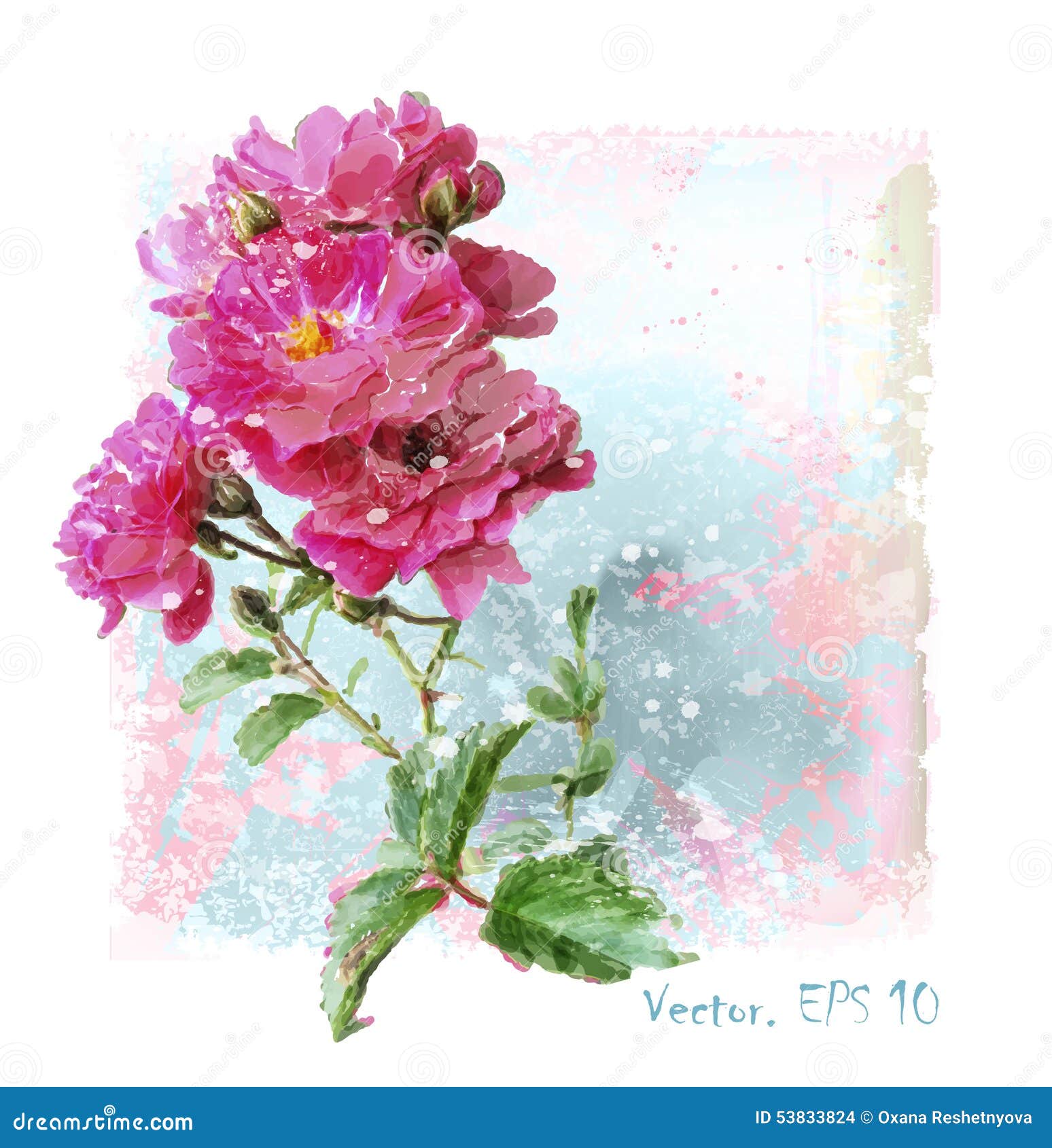 Rosas Cor-de-rosa Da Aquarela Ilustração do Vetor - Ilustração de nave ...