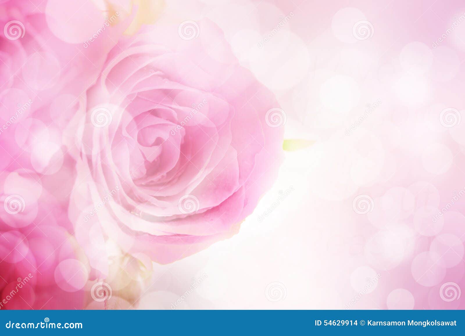 Rosas Cor-de-rosa Doces Com Efeito Do Bokeh No Fundo Cor-de-rosa Foto ... Rosas Cor-de-rosa Doces Com Efeito Do Bokeh No Fundo Cor-de-rosa Foto ...