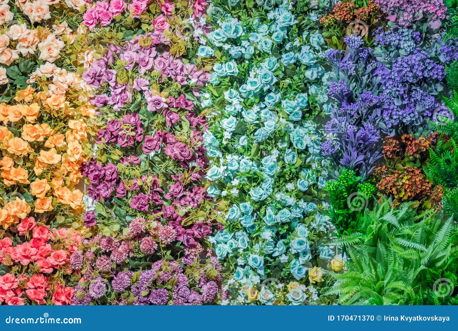Rosas De Cor Laranja, Azul E Rosa Que Florescem Artificialmente Foto de ...