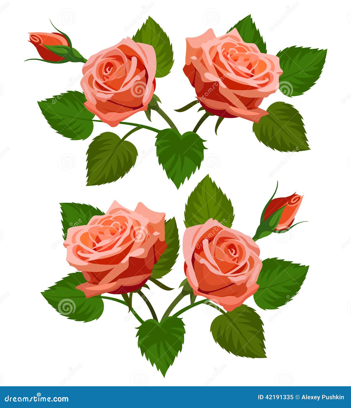 Rosas del vector ilustración del vector. Ilustración de flor - 42191335