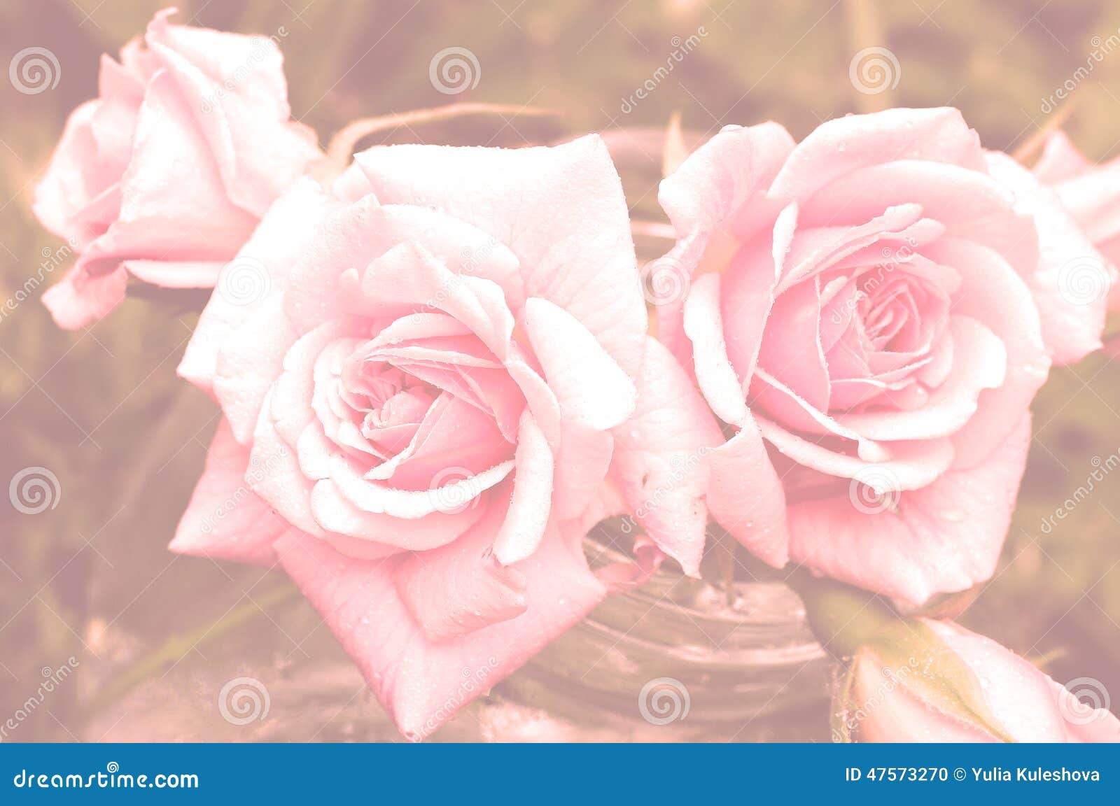 Rosas en colores pastel foto de archivo. Imagen de tarjeta - 47573270
