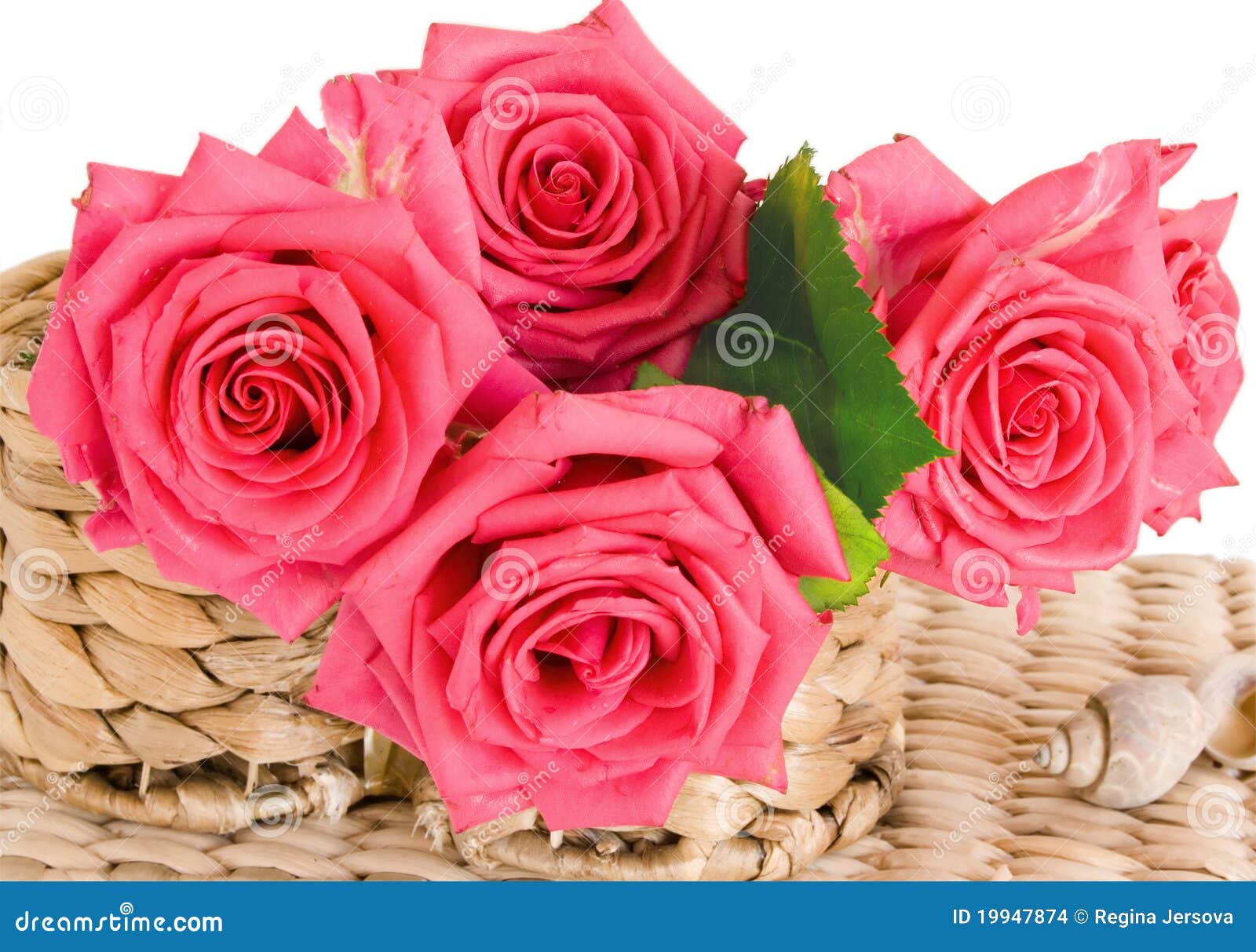 Rosas hermosas foto de archivo. Imagen de pastel, valentina - 19947874