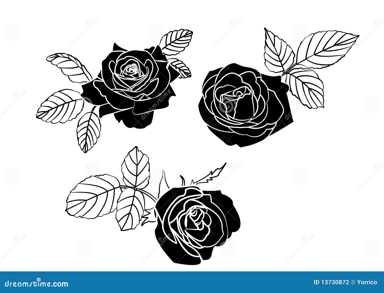 Rosas negras ilustración del vector. Ilustración de planta - 13730872