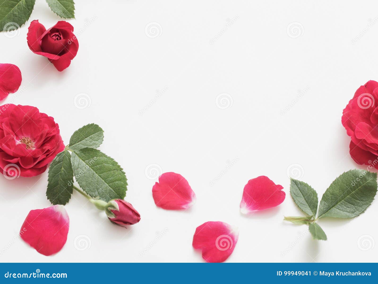 Rosas Rojas En El Fondo Blanco Imagen de archivo - Imagen de flora ...