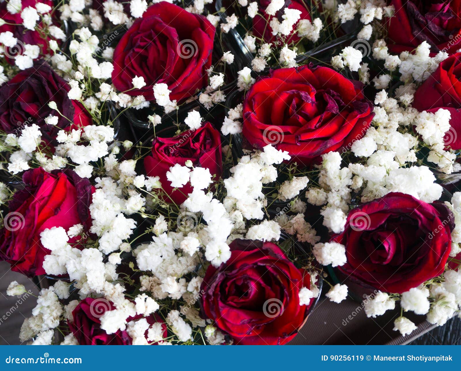 Rosas rojas hermosas imagen de archivo. Imagen de tarjeta - 90256119