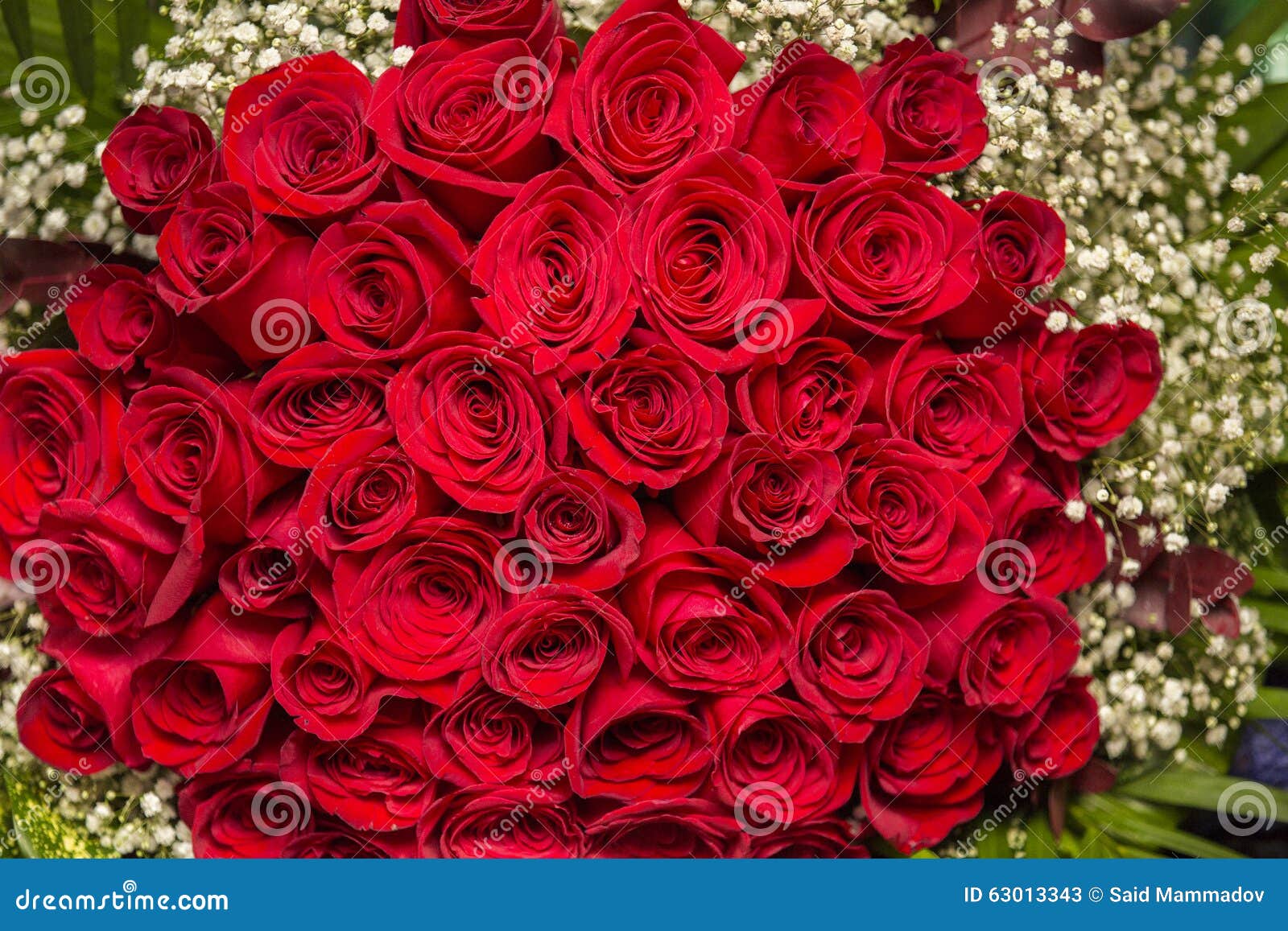 Rosas rojas naturales imagen de archivo. Imagen de manojo - 63013343