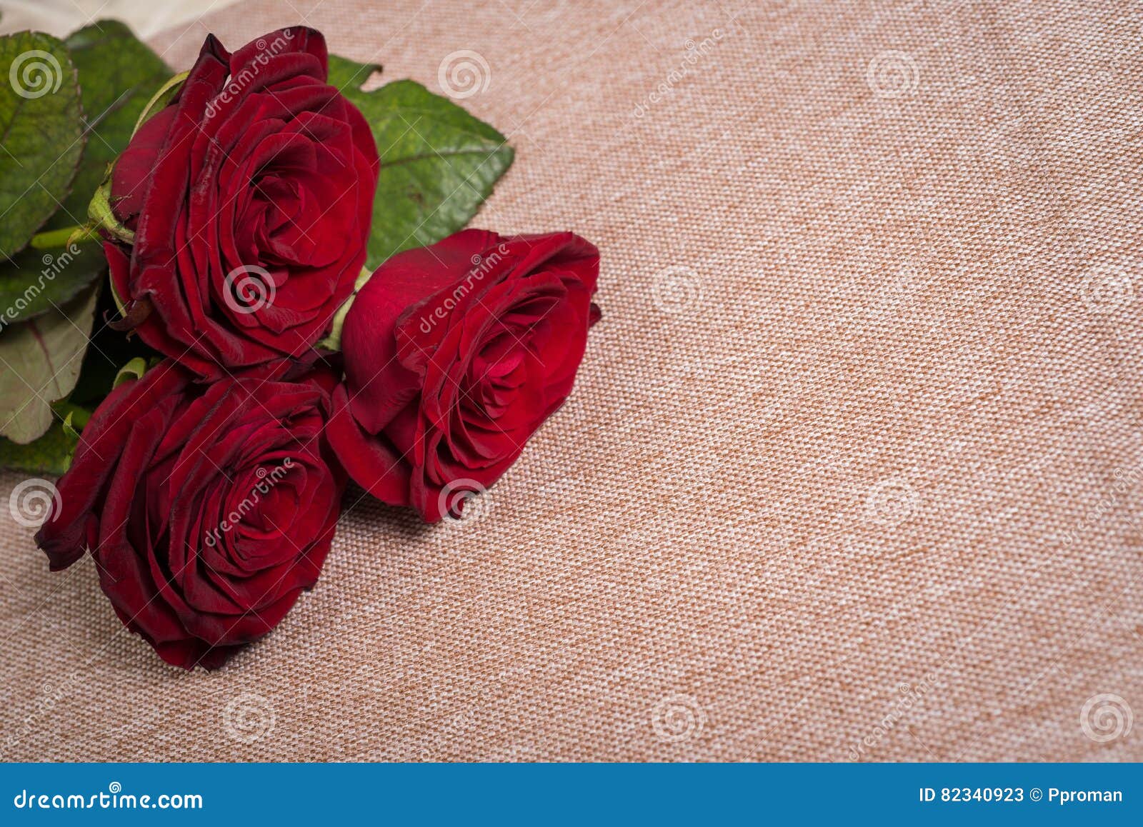 Rosas rojas naturales imagen de archivo. Imagen de ramo - 82340923