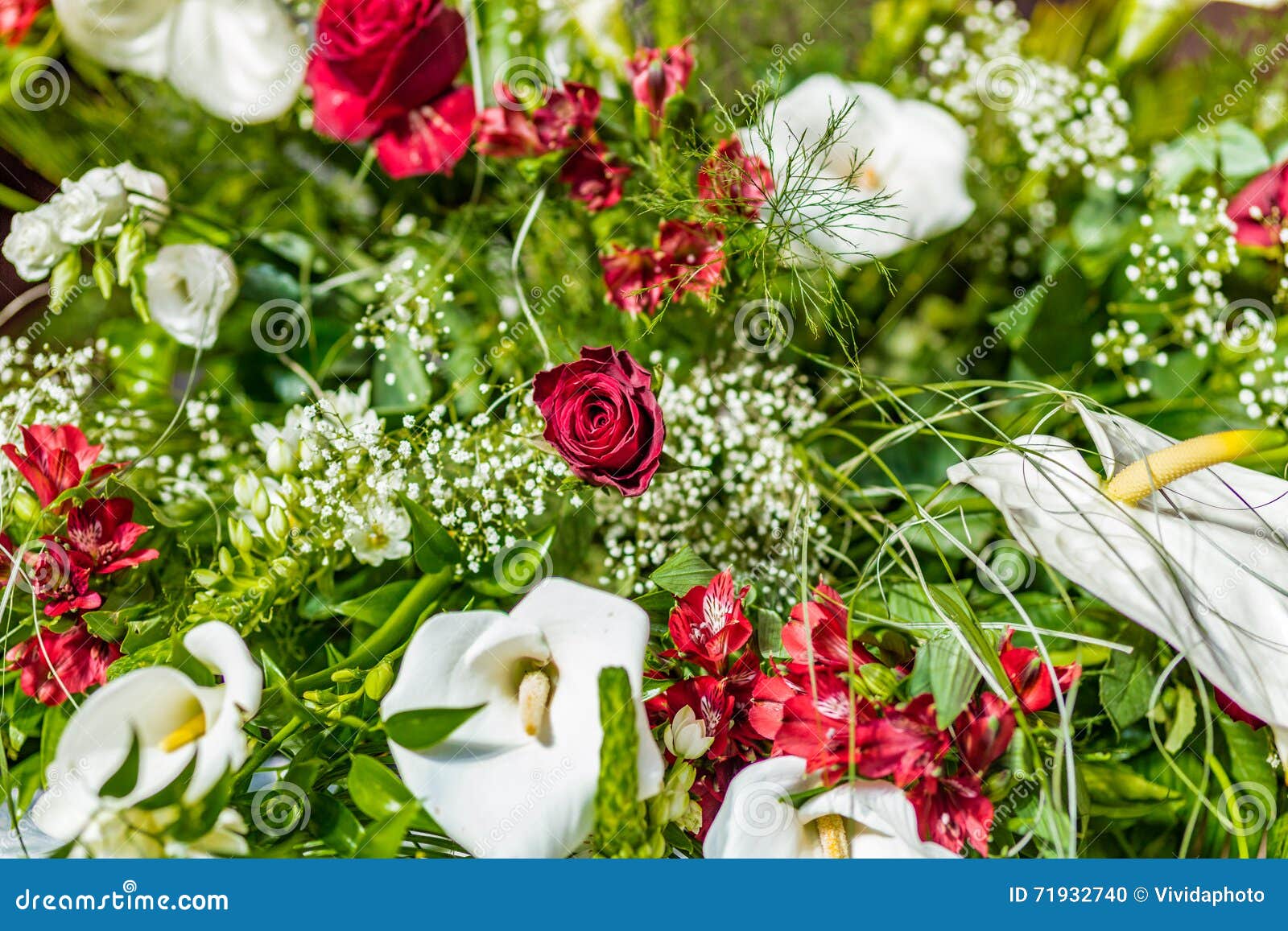 Rosas rojas y cala blanca foto de archivo. Imagen de fondo - 71932740