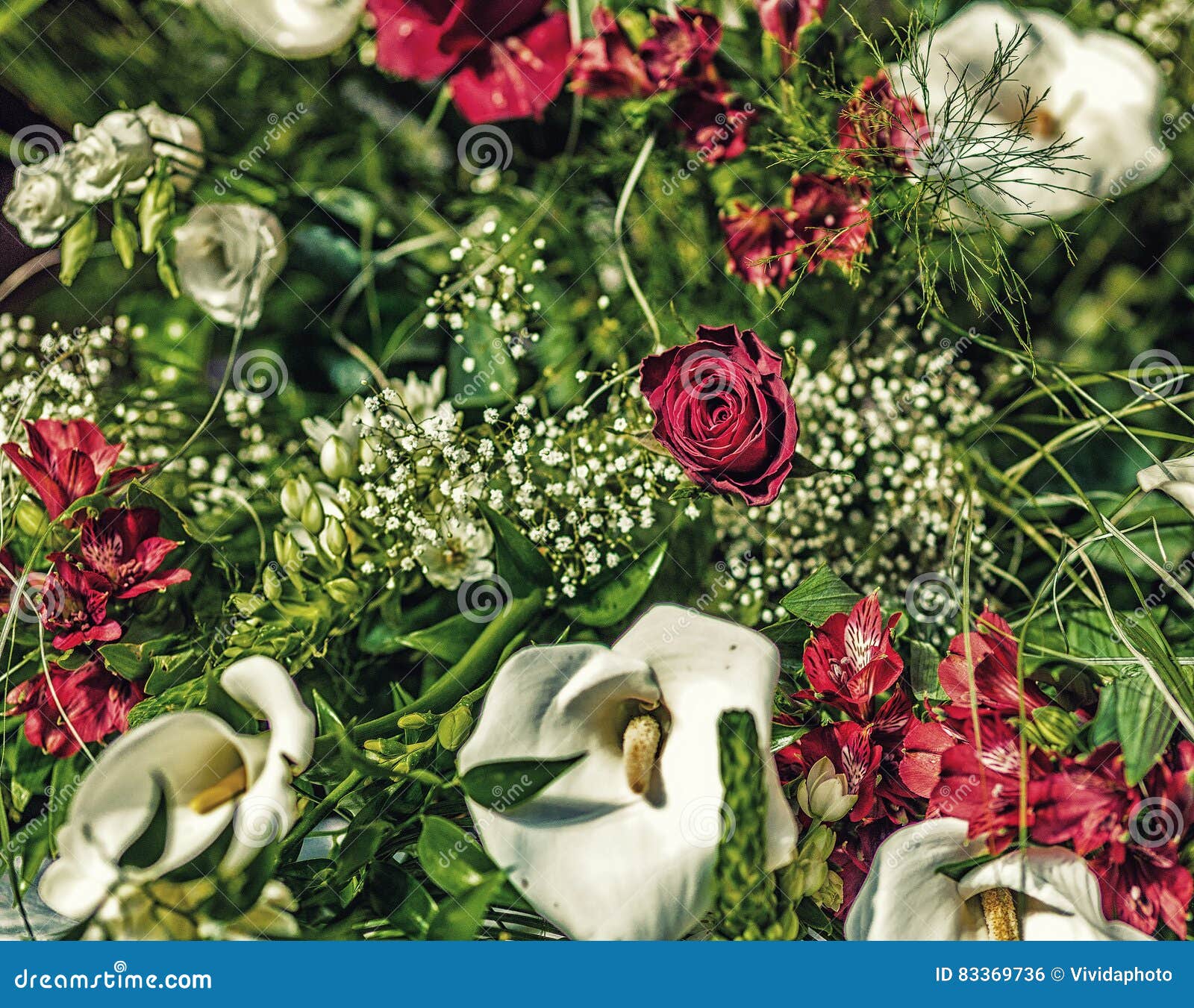 Rosas rojas y cala blanca foto de archivo. Imagen de arreglo - 83369736