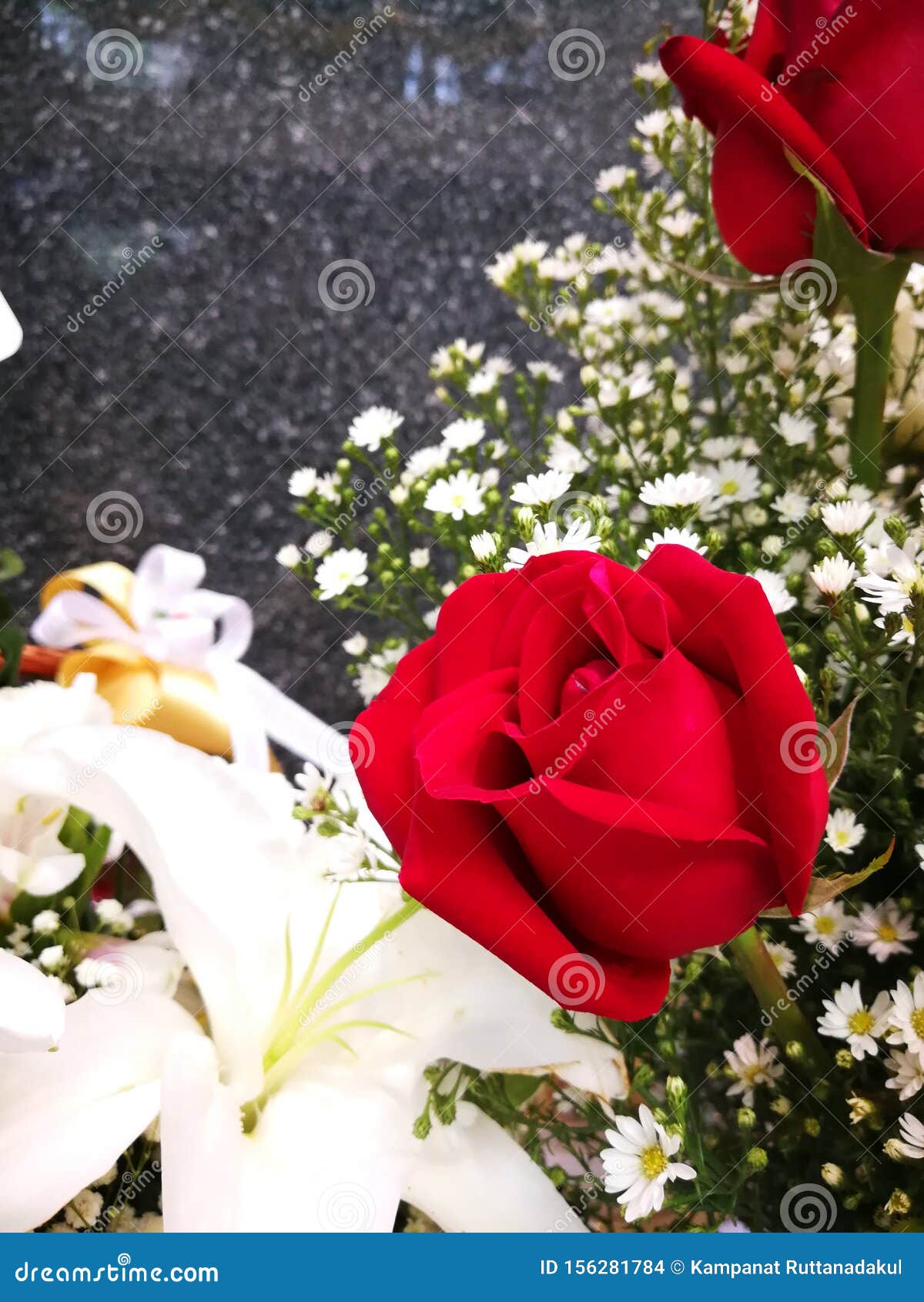 Rosas Rojas Y Flores Blancas Foto de archivo - Imagen de amor, flores ...