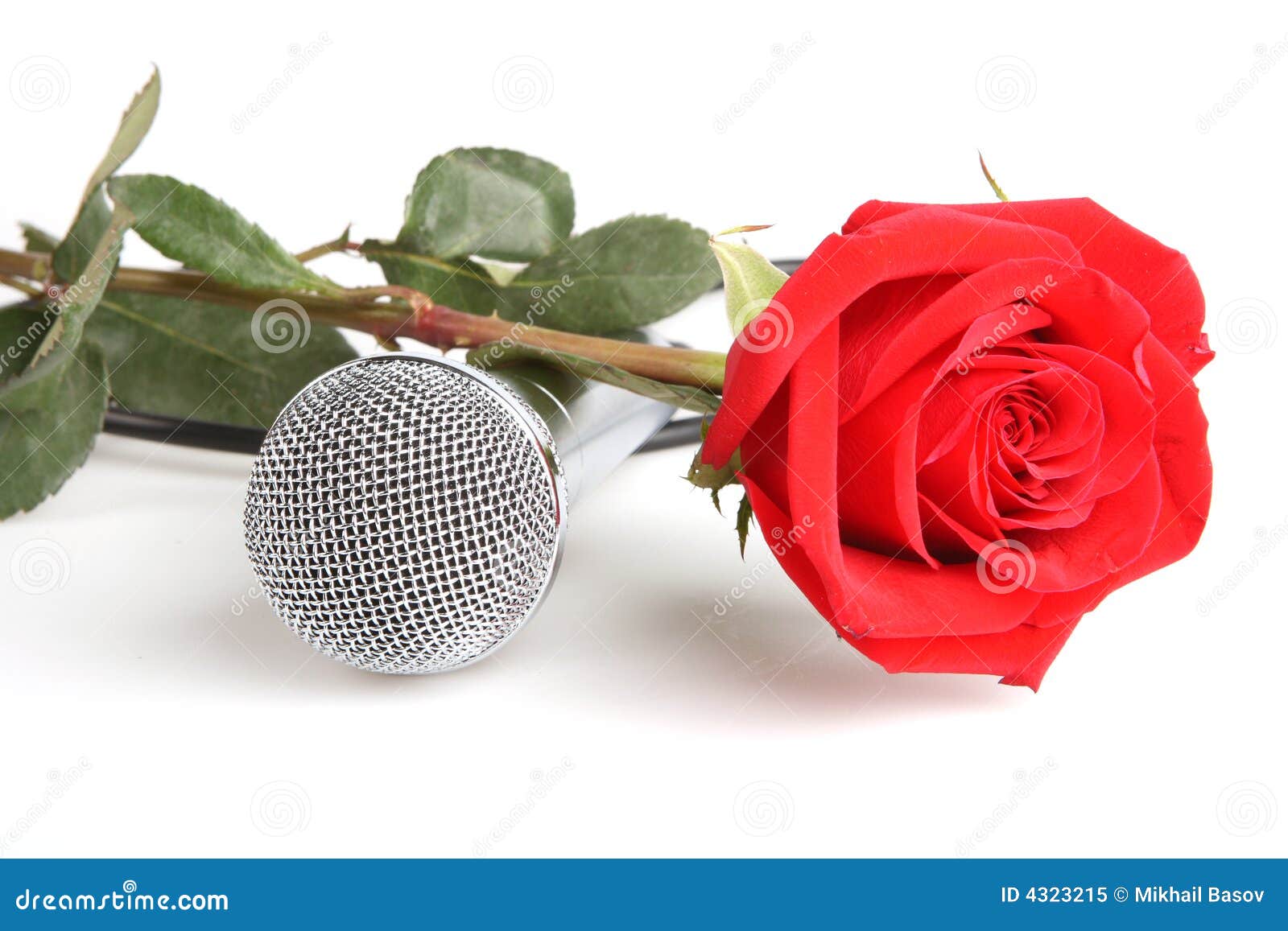 Rosas rojas y un micrófono imagen de archivo. Imagen de hoja - 4323215