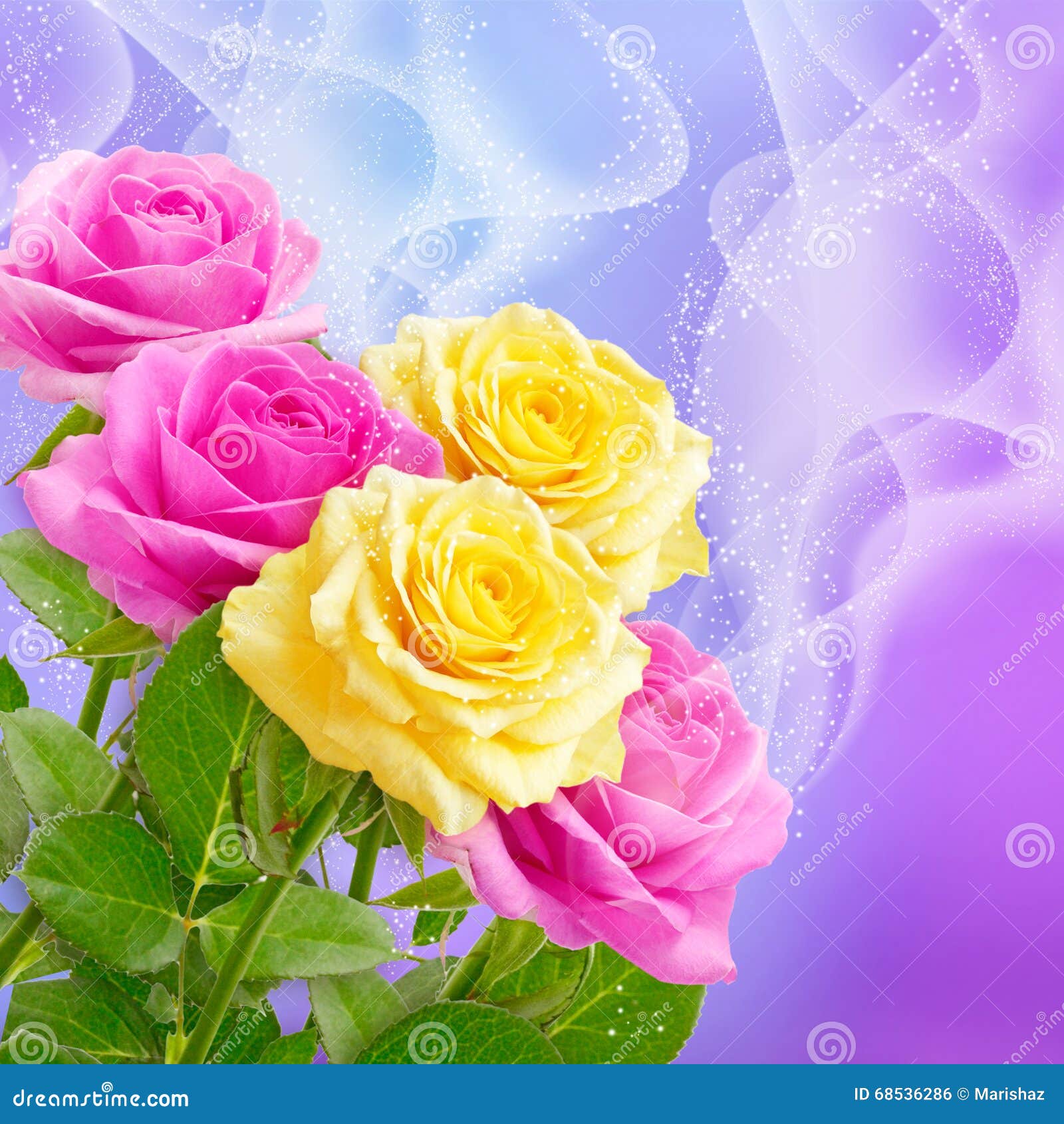 Rosas y estrellas foto de archivo. Imagen de ramo, rosas - 68536286