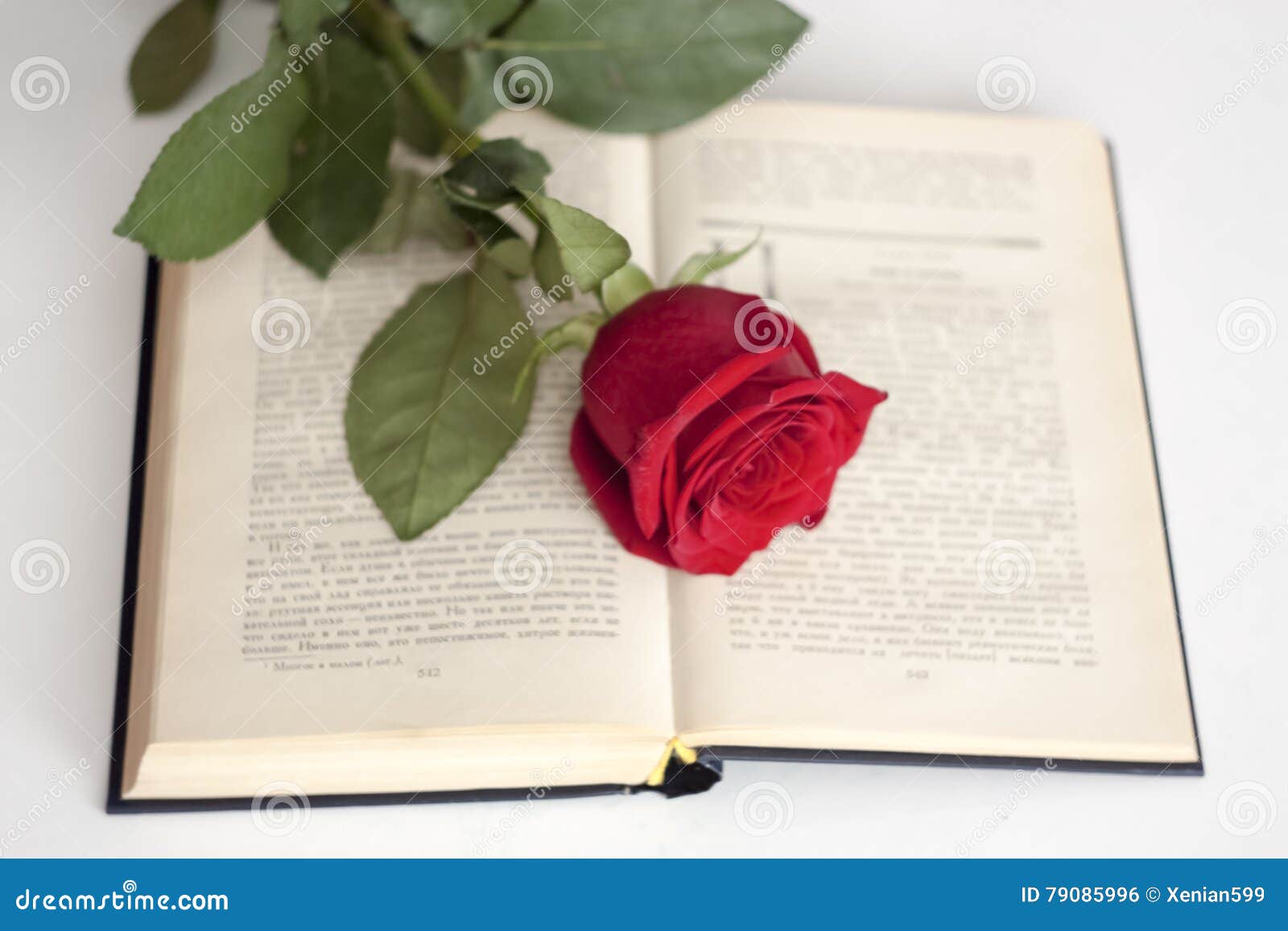 Rosas y libros foto de archivo. Imagen de flor, detalle - 79085996