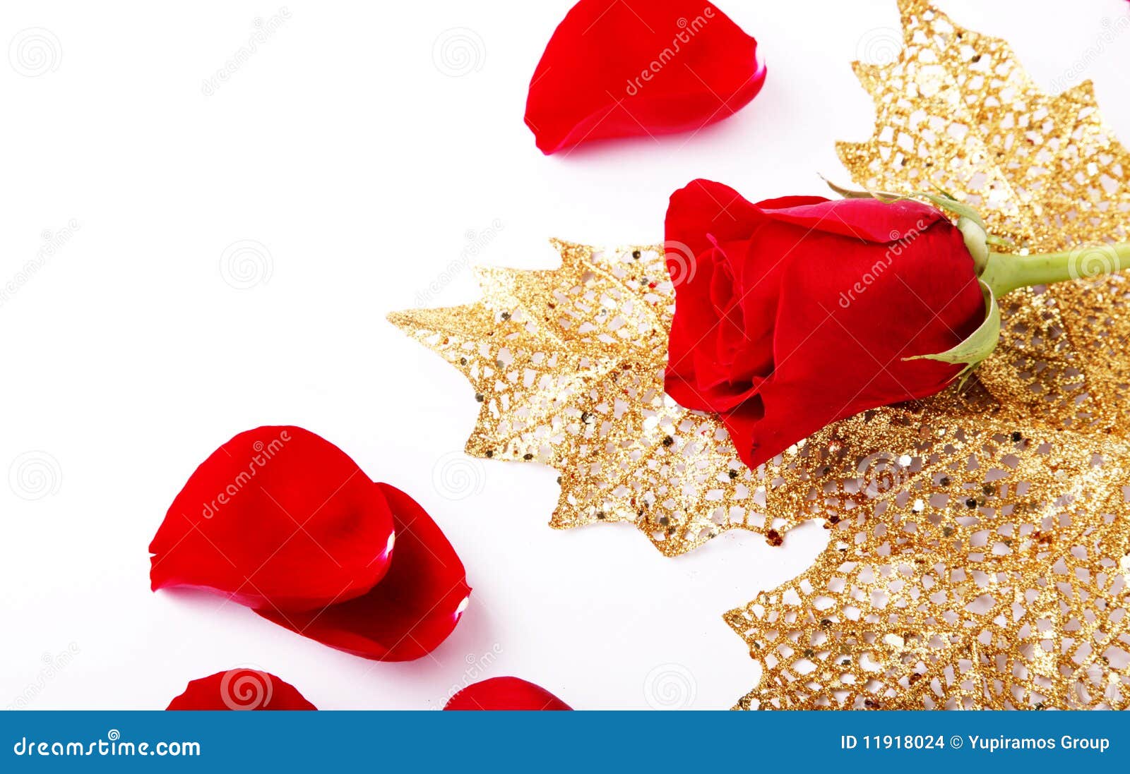 Rose foto de archivo. Imagen de fechado, flor, concepto - 11918024