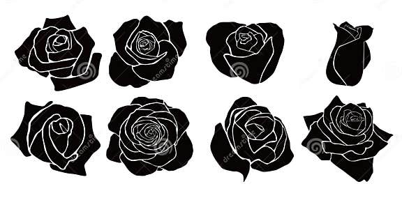 Rose stock vector. Illustration of isolated, bloom, graphic - 13319496