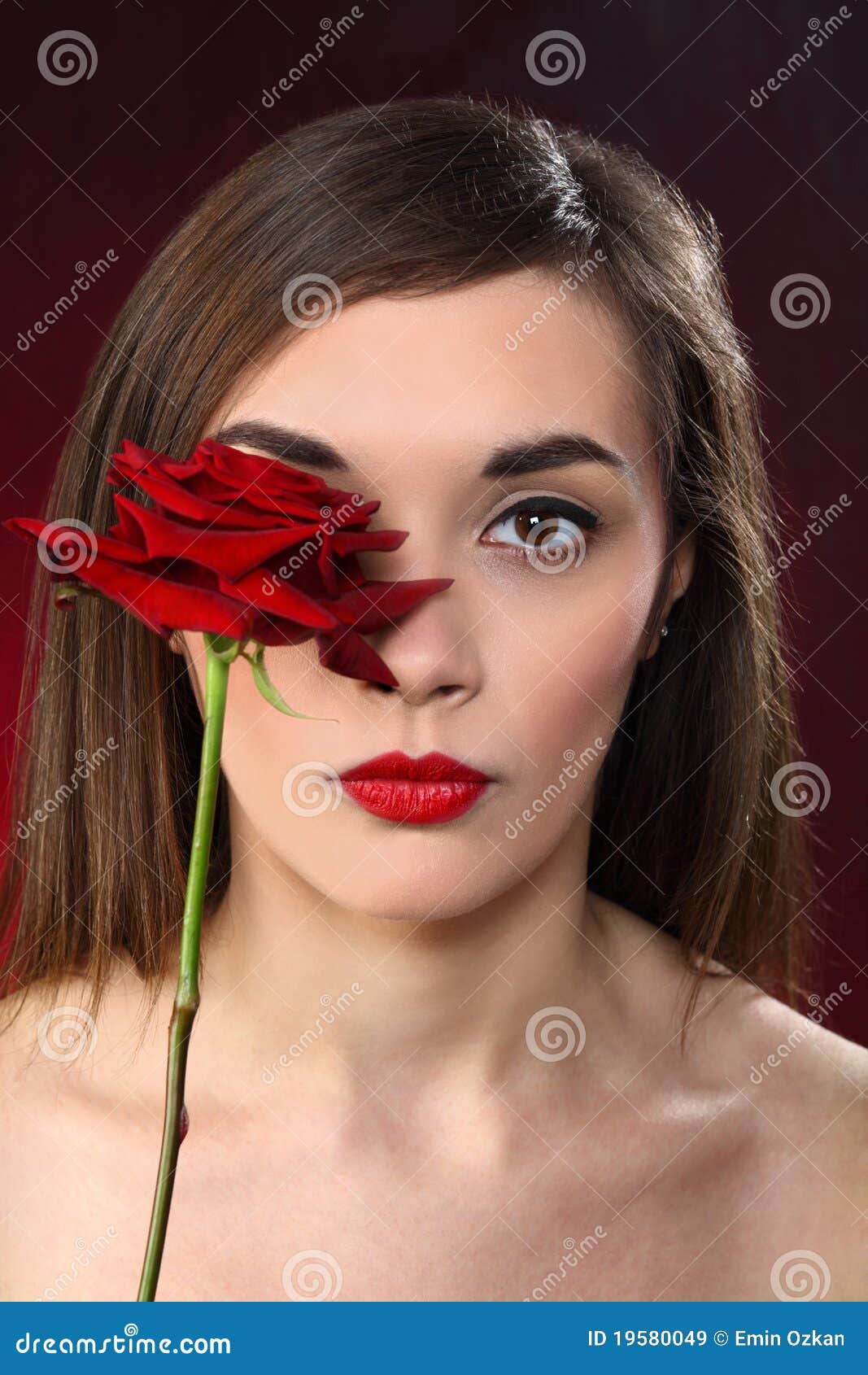 Rose stock image. Image of headshot, shoulders, looking - 19580049