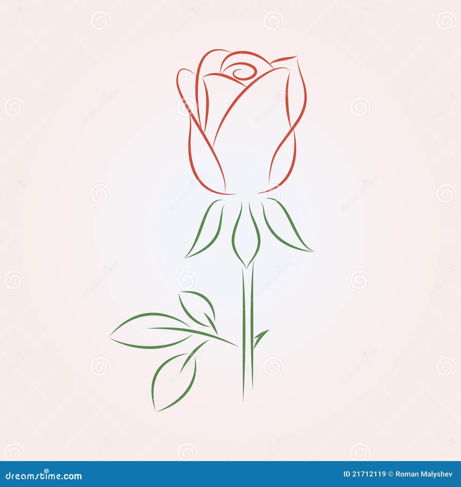 Rose stock vector. Illustration of roses, drawing, curve - 21712119