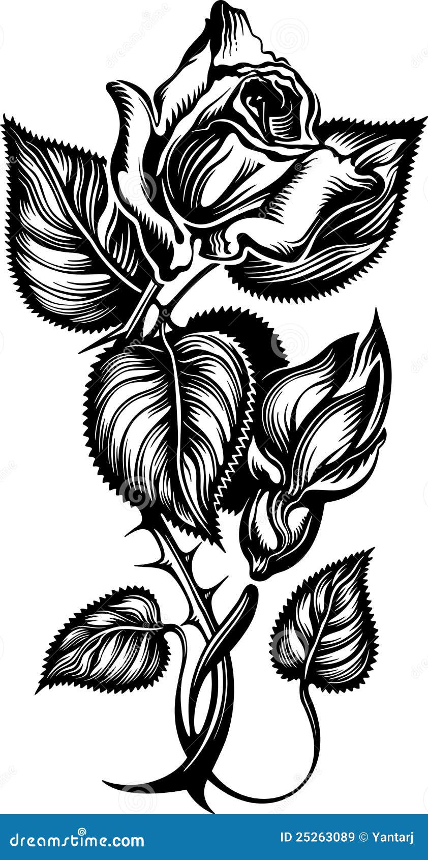 Rose stock vector. Illustration of digital, thorn, outline - 25263089