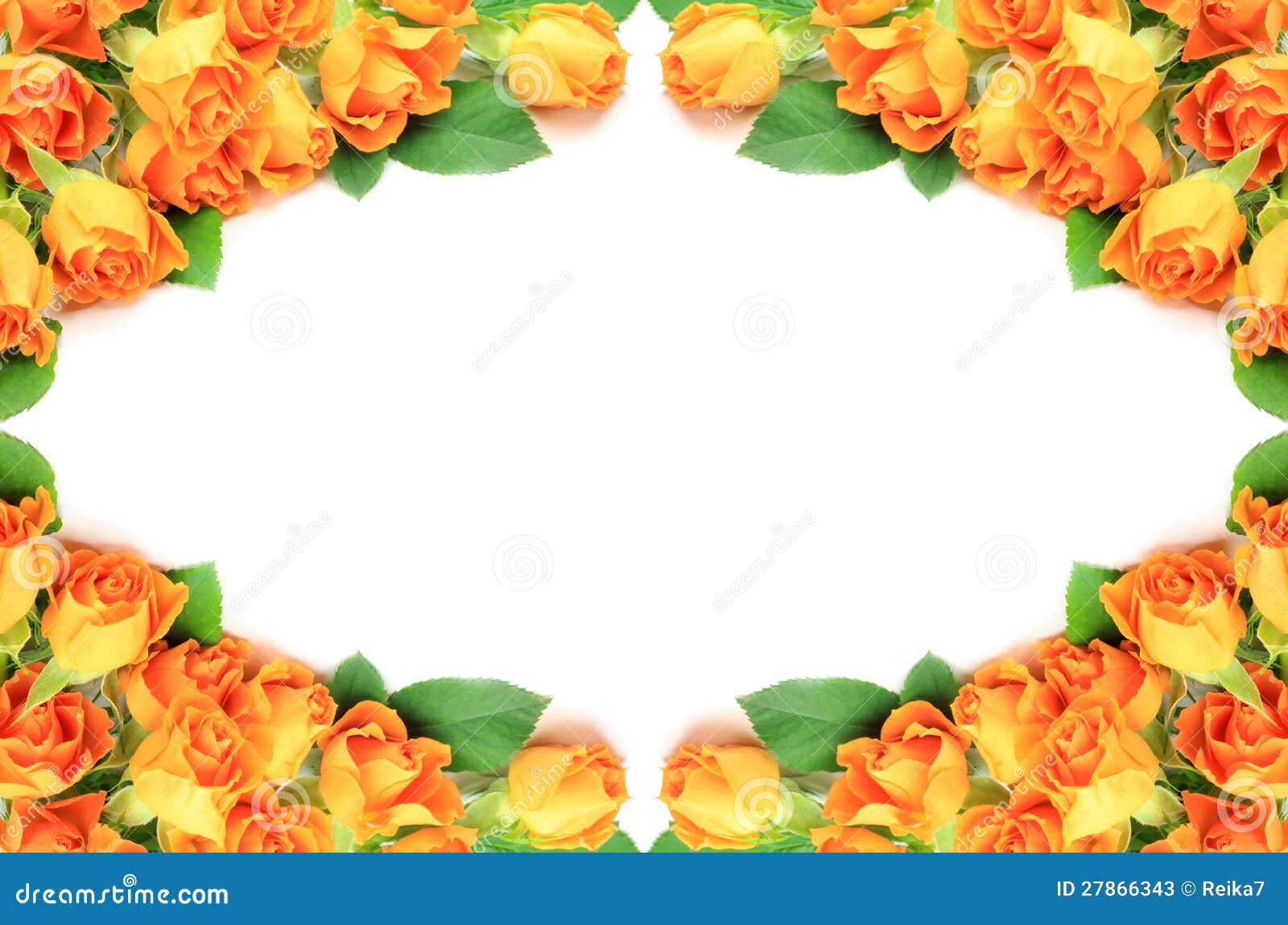 Rose stock image. Image of frame, plant, arrangement - 27866343