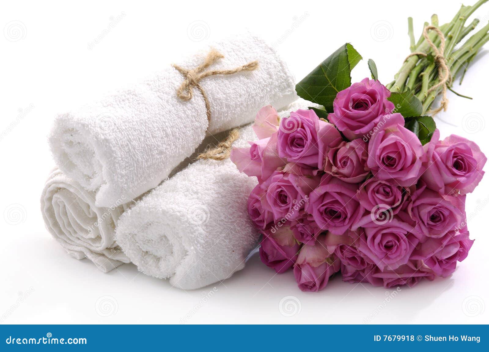 Rose stock photo. Image of massage, ladies, homeopathy - 7679918