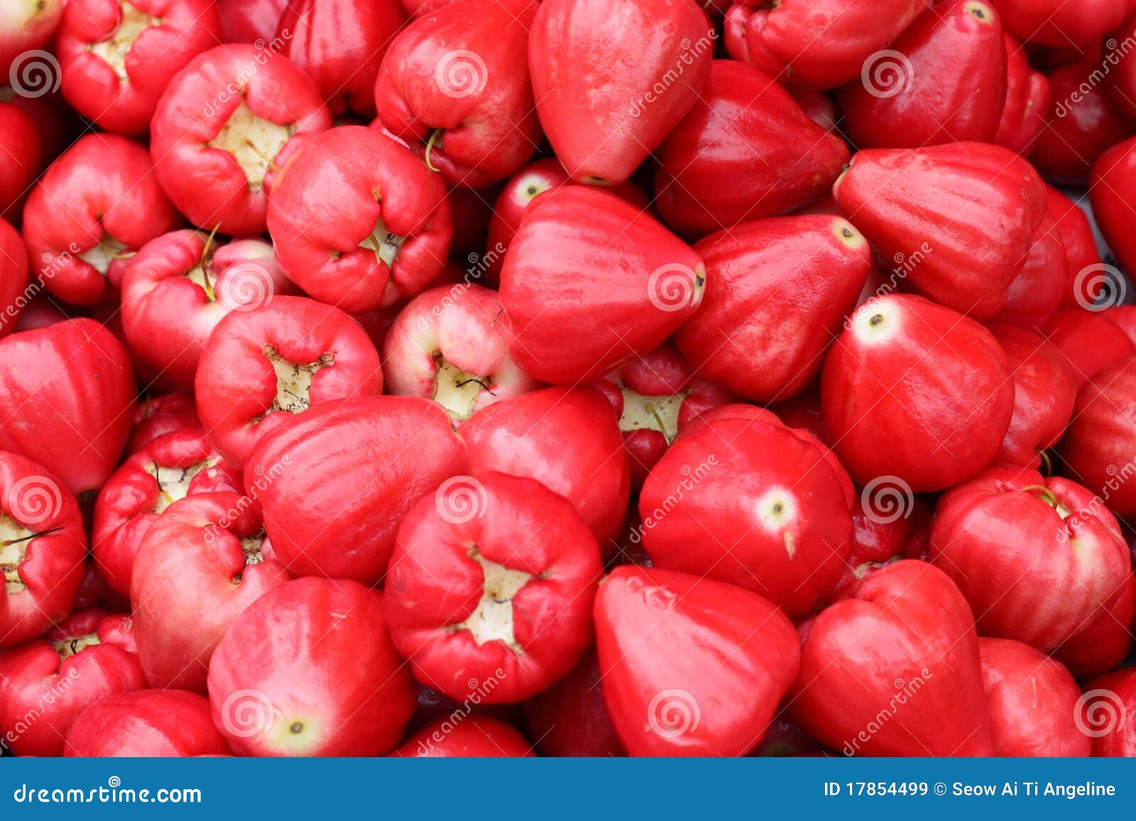 Rose Apple stock image. Image of water, bell, horizontal - 17854499