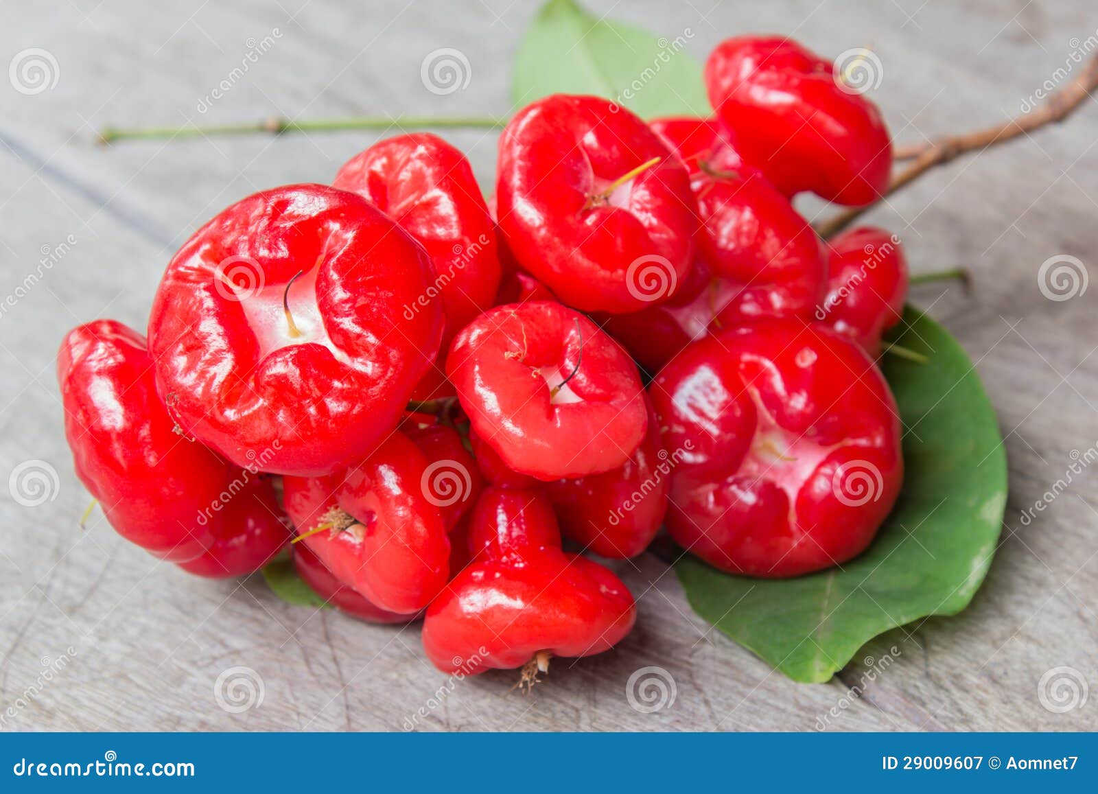 Rose apple stock image. Image of bellshaped, fresh, wood - 29009607