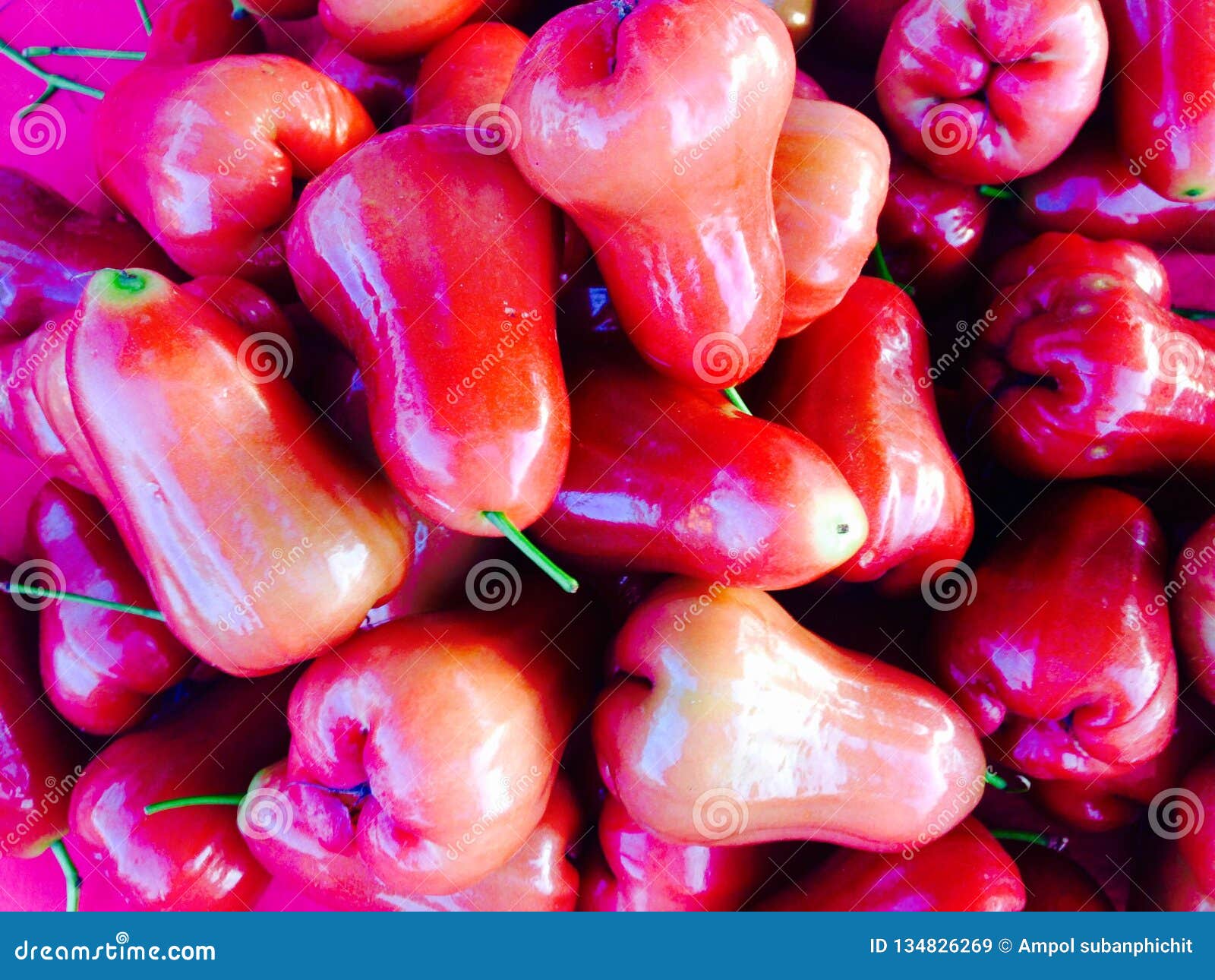 Rose apple fresh fruit stock image. Image of apple, pink - 134826269