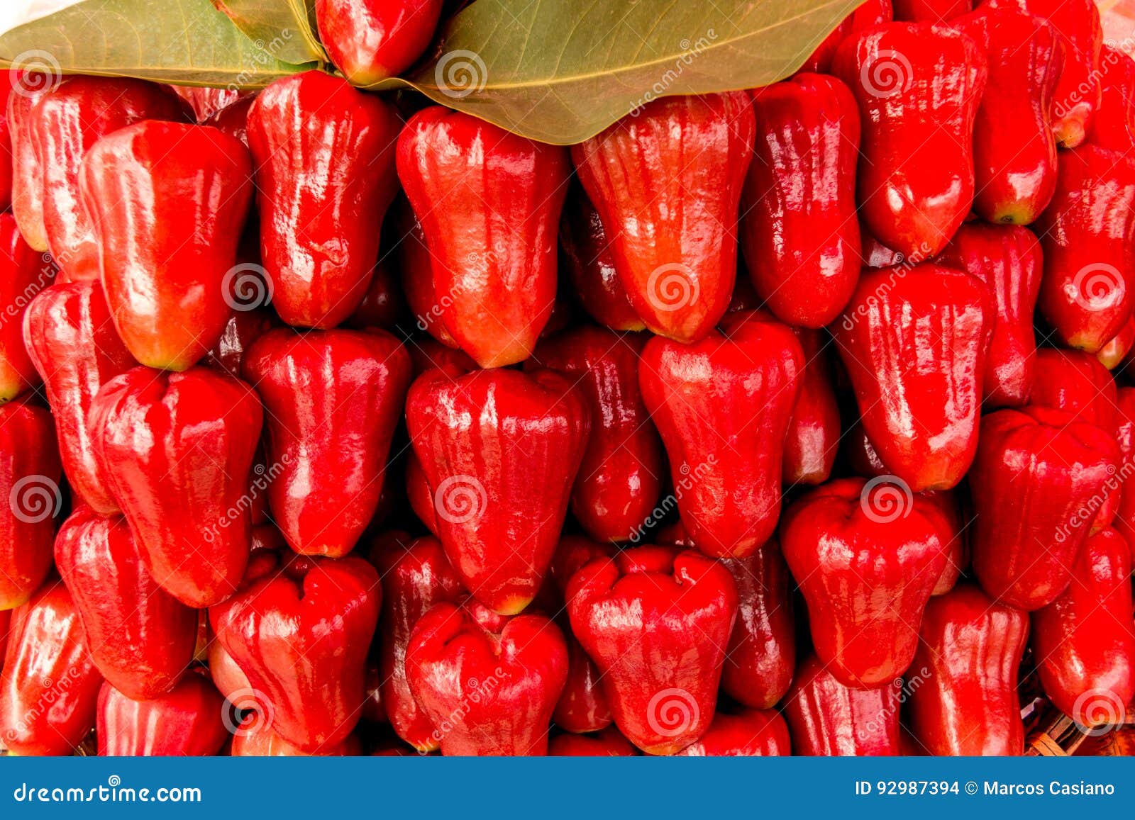 Rose Apple Fruit stock photo. Image of apple, market - 92987394