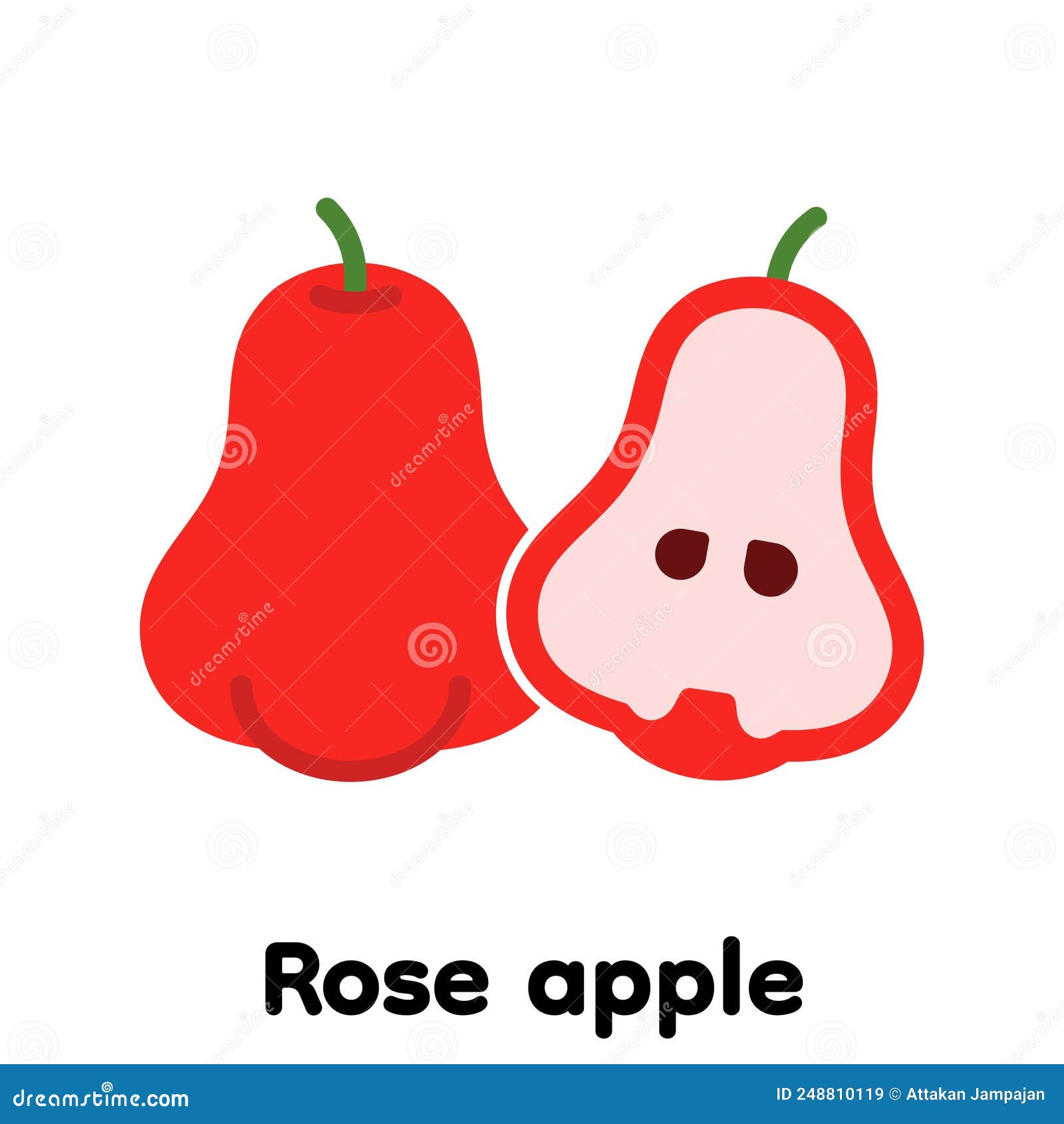 Rose Apple Fruit Icon, Vector, Illustration. Stock Vector ...