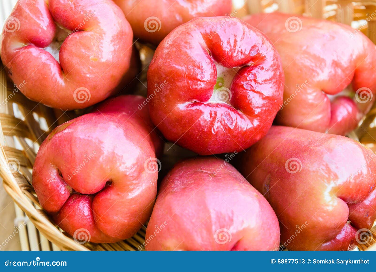 Rose apple fruit stock image. Image of organic, leaf - 88877513