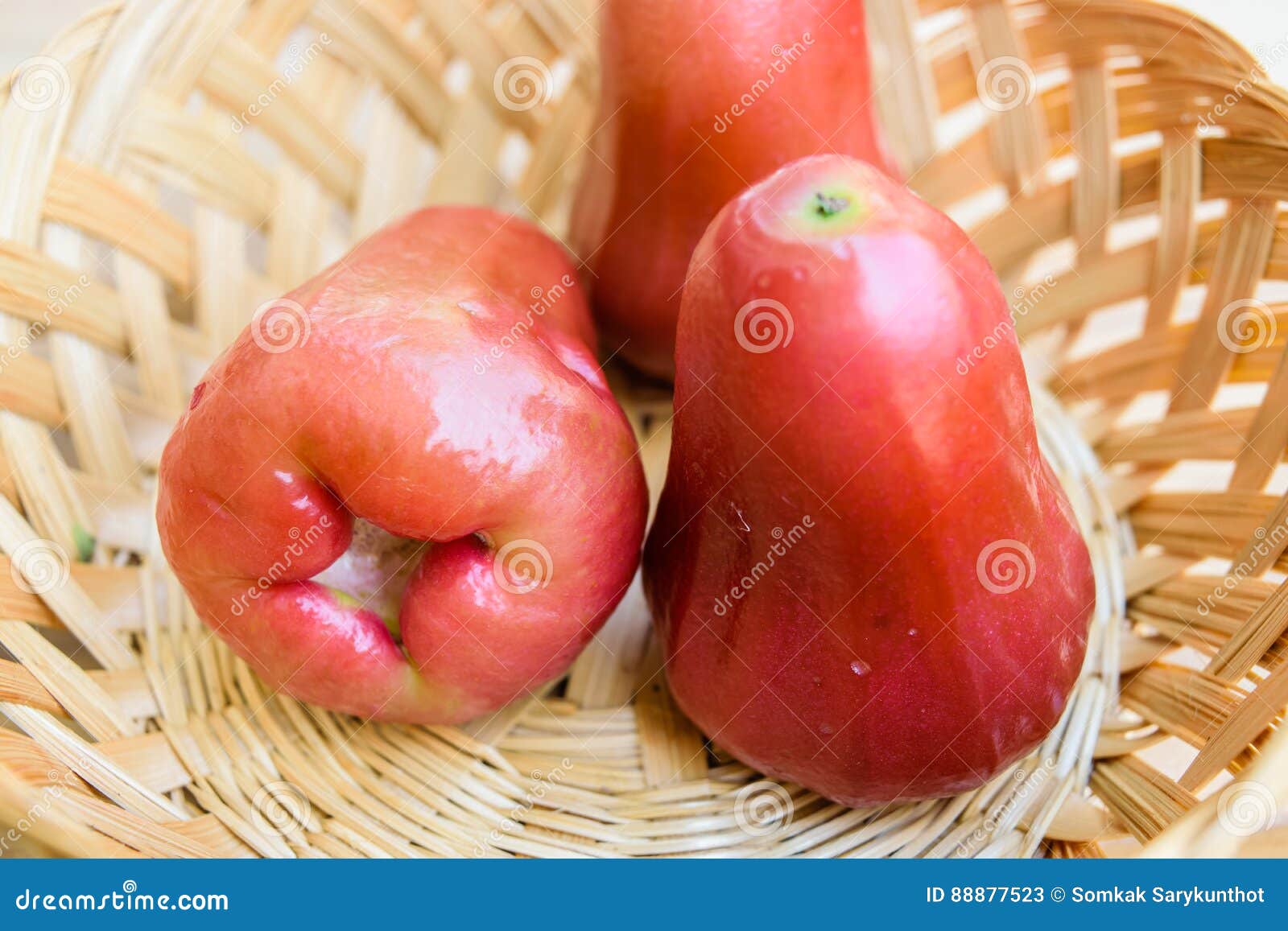 Rose apple fruit stock image. Image of delicious, fresh - 88877523
