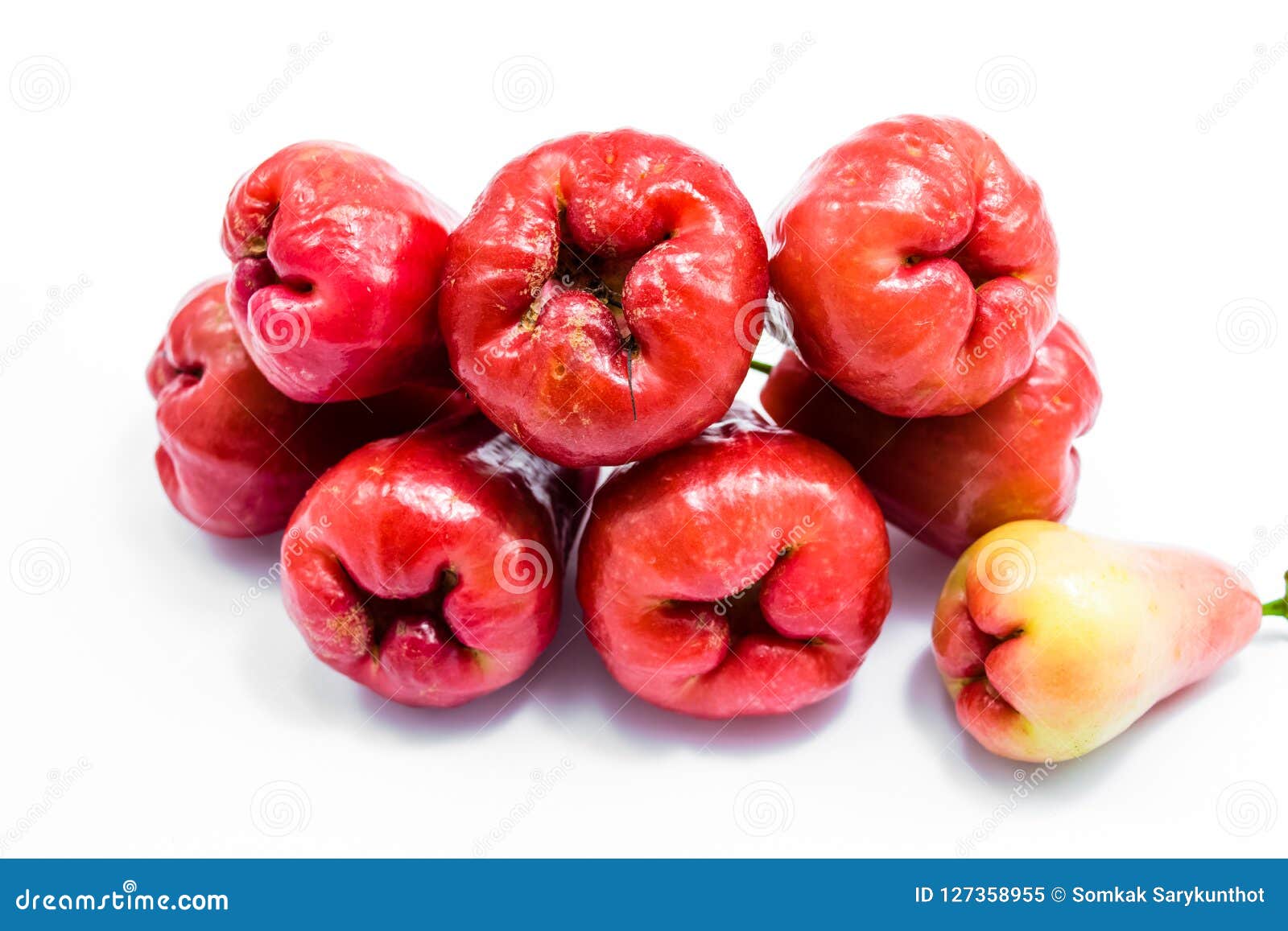 Rose apple fruits stock image. Image of isolated, organic - 127358955