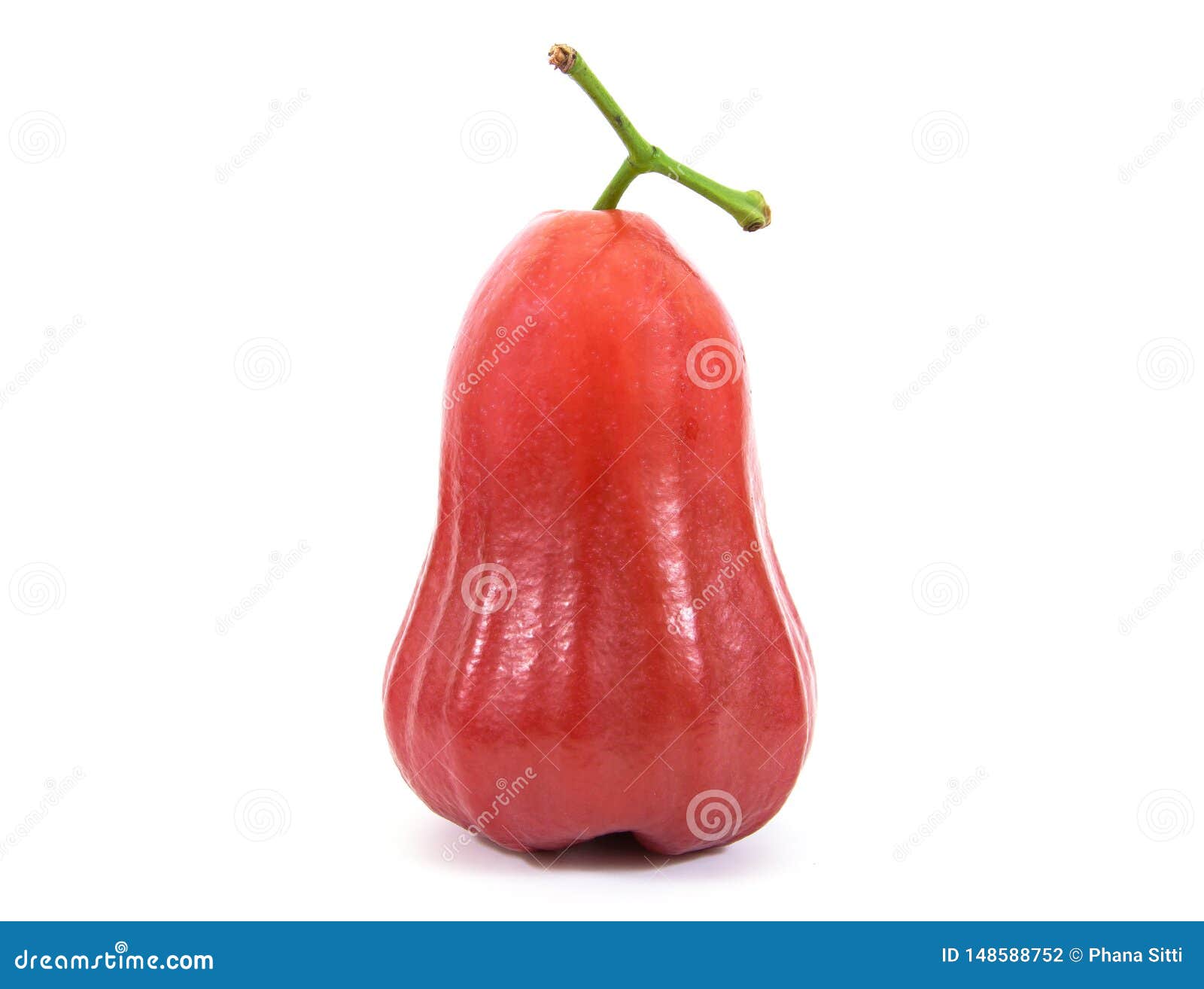 Fresh Single Rose Apple Isolated on White Background Stock Photo ...