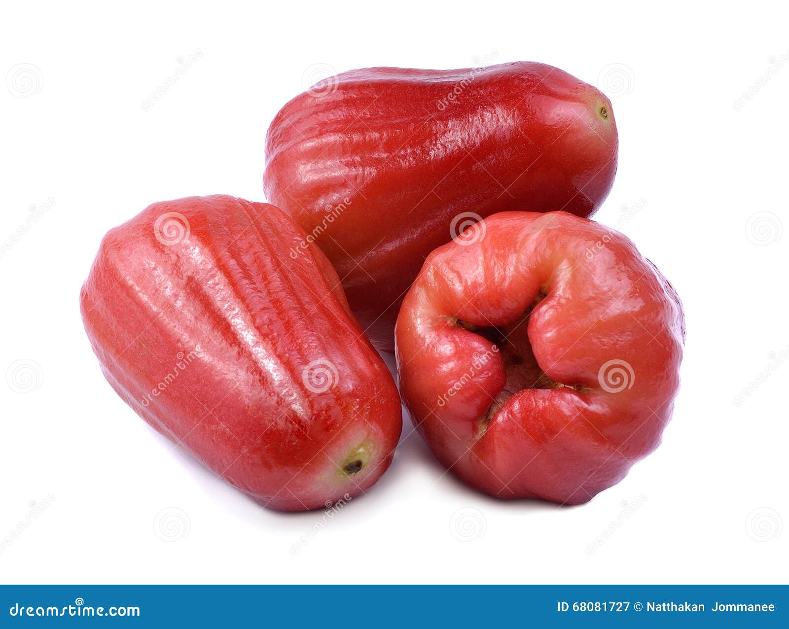 Rose apple stock image. Image of exotic, farm, background - 68081727