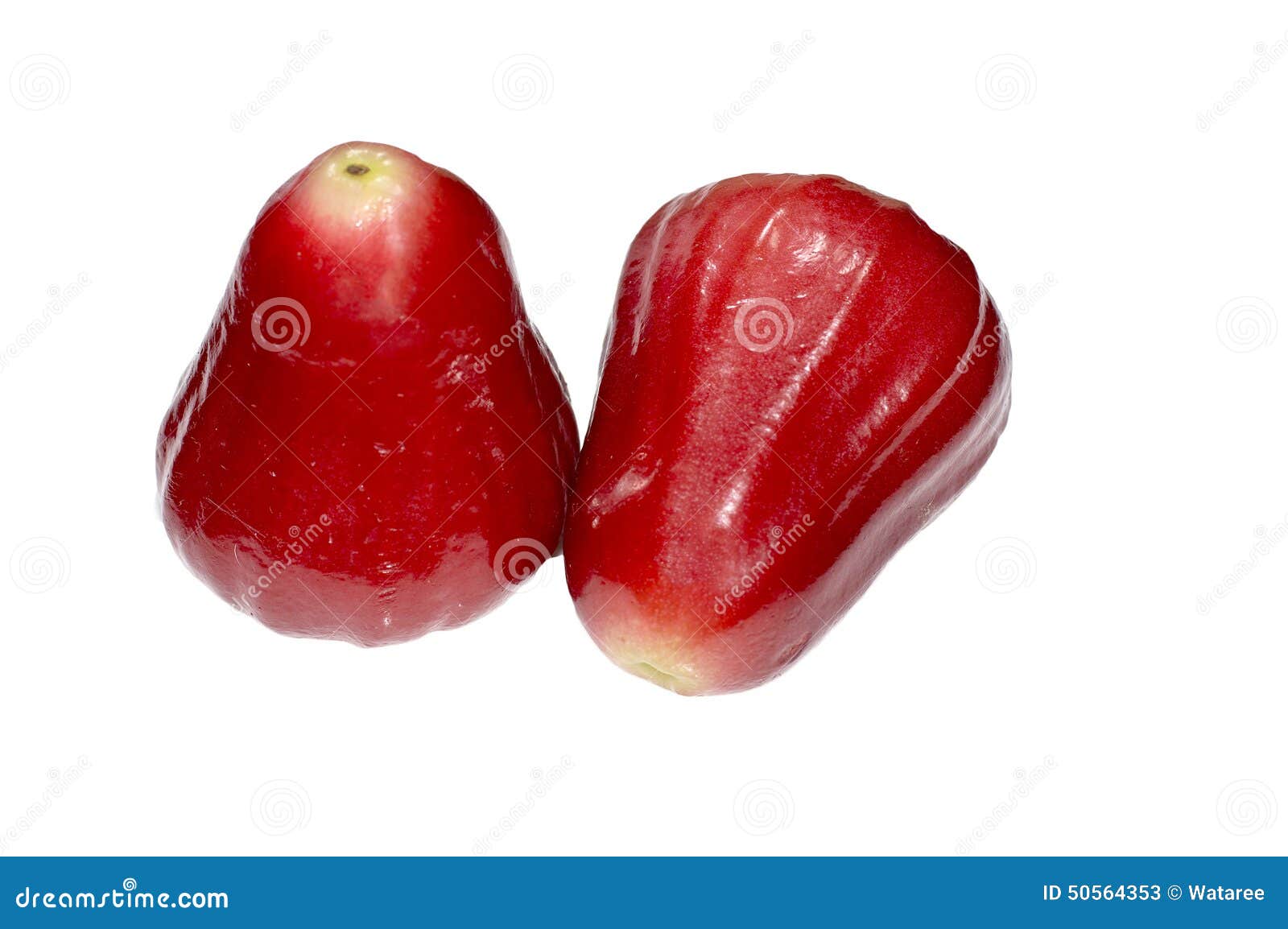 Rose apple stock image. Image of group, chomphu, guava - 50564353