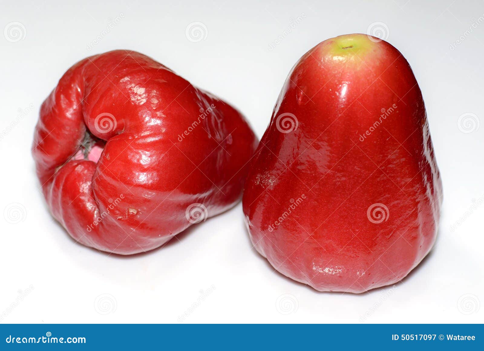 Rose apple stock image. Image of white, vegetable, nature - 50517097