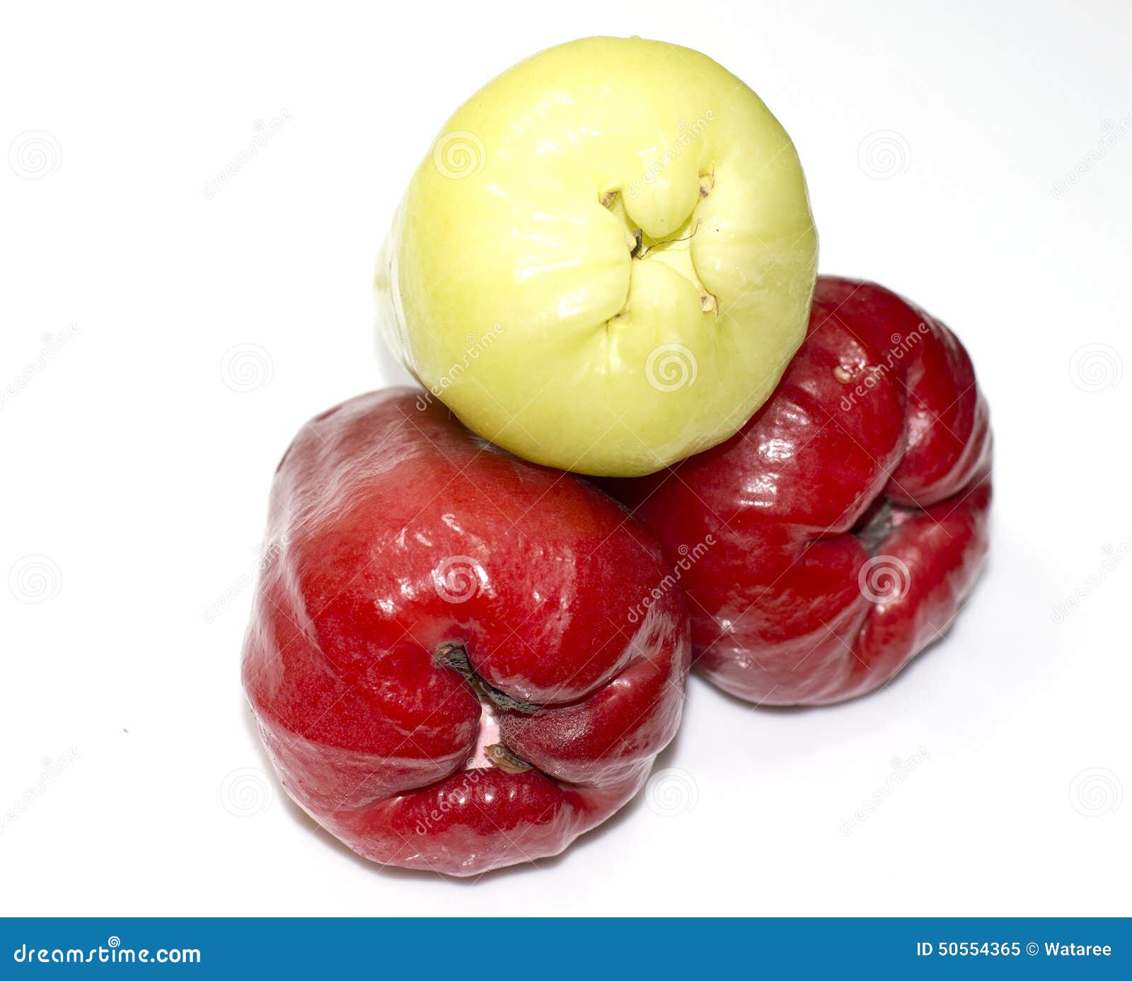 Rose apple stock image. Image of sweet, pink, tropical - 50554365