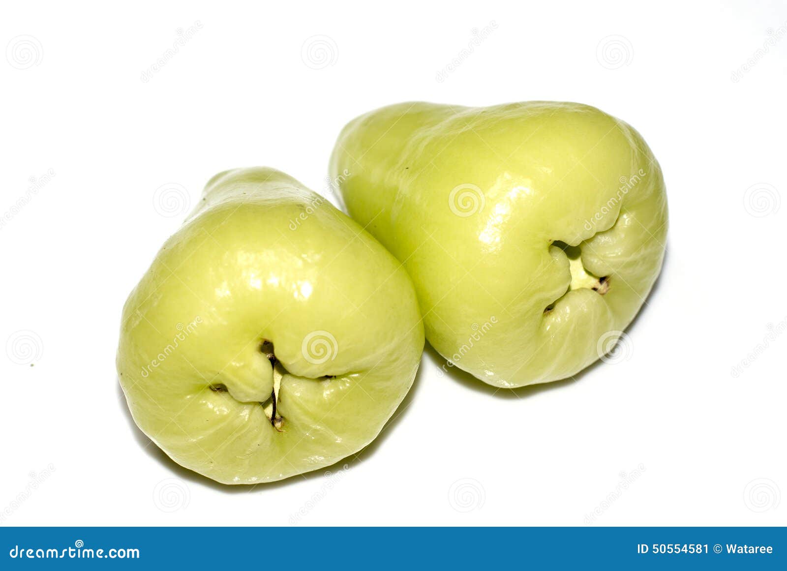 Rose apple stock image. Image of fresh, szygium, apple - 50554581