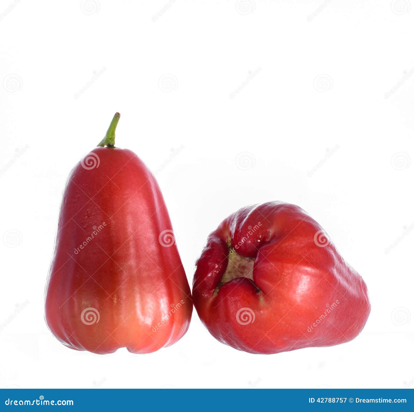 965 Jambu Leaf Stock Photos - Free & Royalty-Free Stock Photos from ...