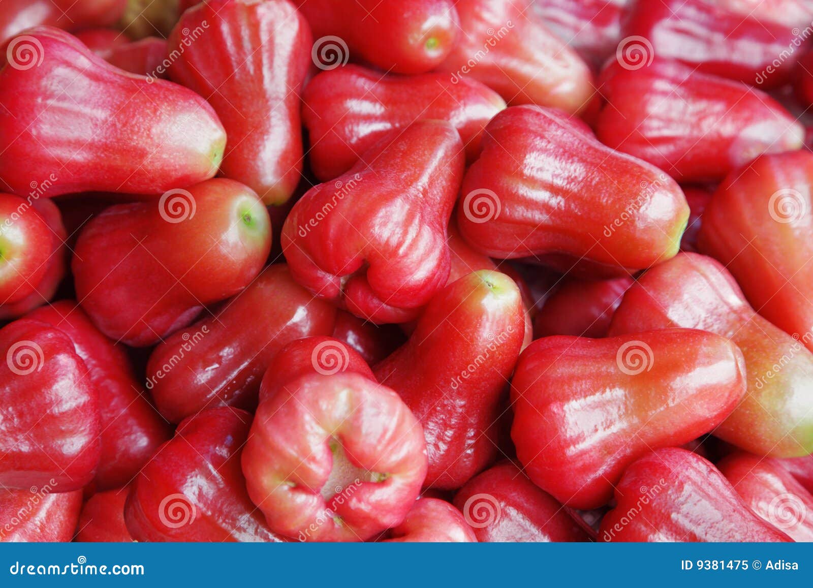 Rose apples stock image. Image of nutritious, food, asia - 9381475
