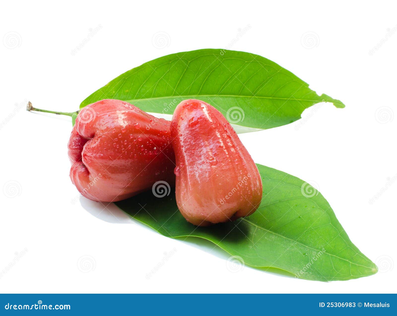 Rose apples isolate stock image. Image of makopa, bell - 25306983