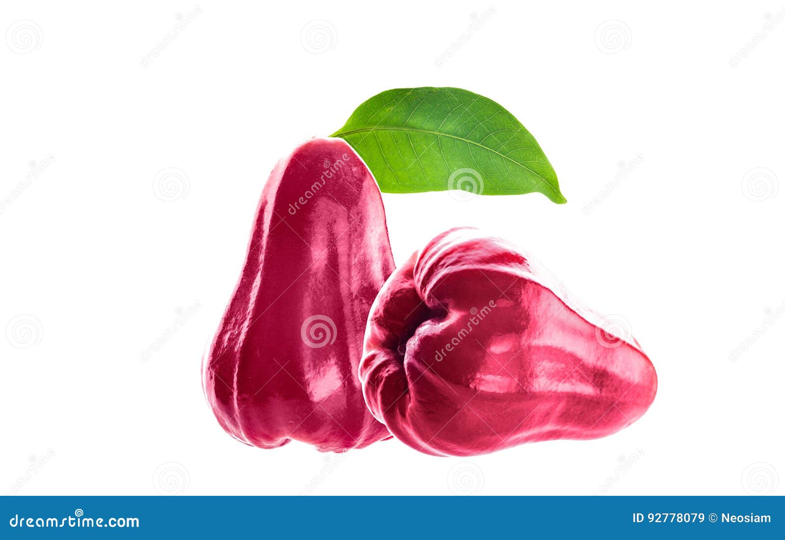 Rose apples stock image. Image of group, isolated, angophora - 92778079