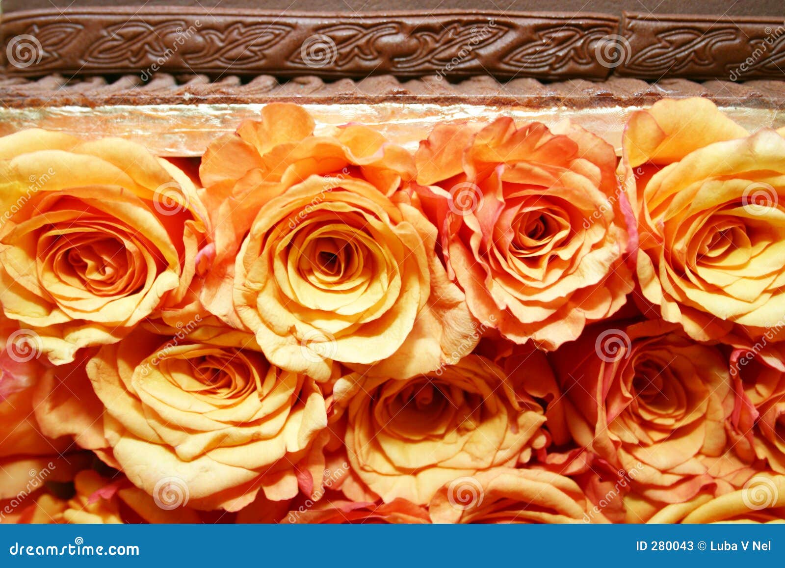 Rose Arancio 035 Immagine. Immagine: 280043