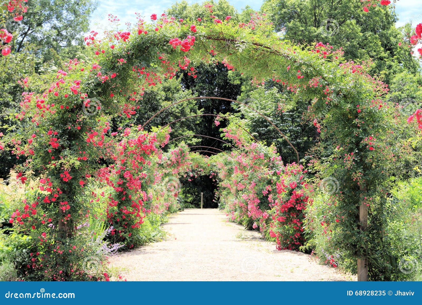 Rose Arch in the Garden stock image. Image of garden - 68928235