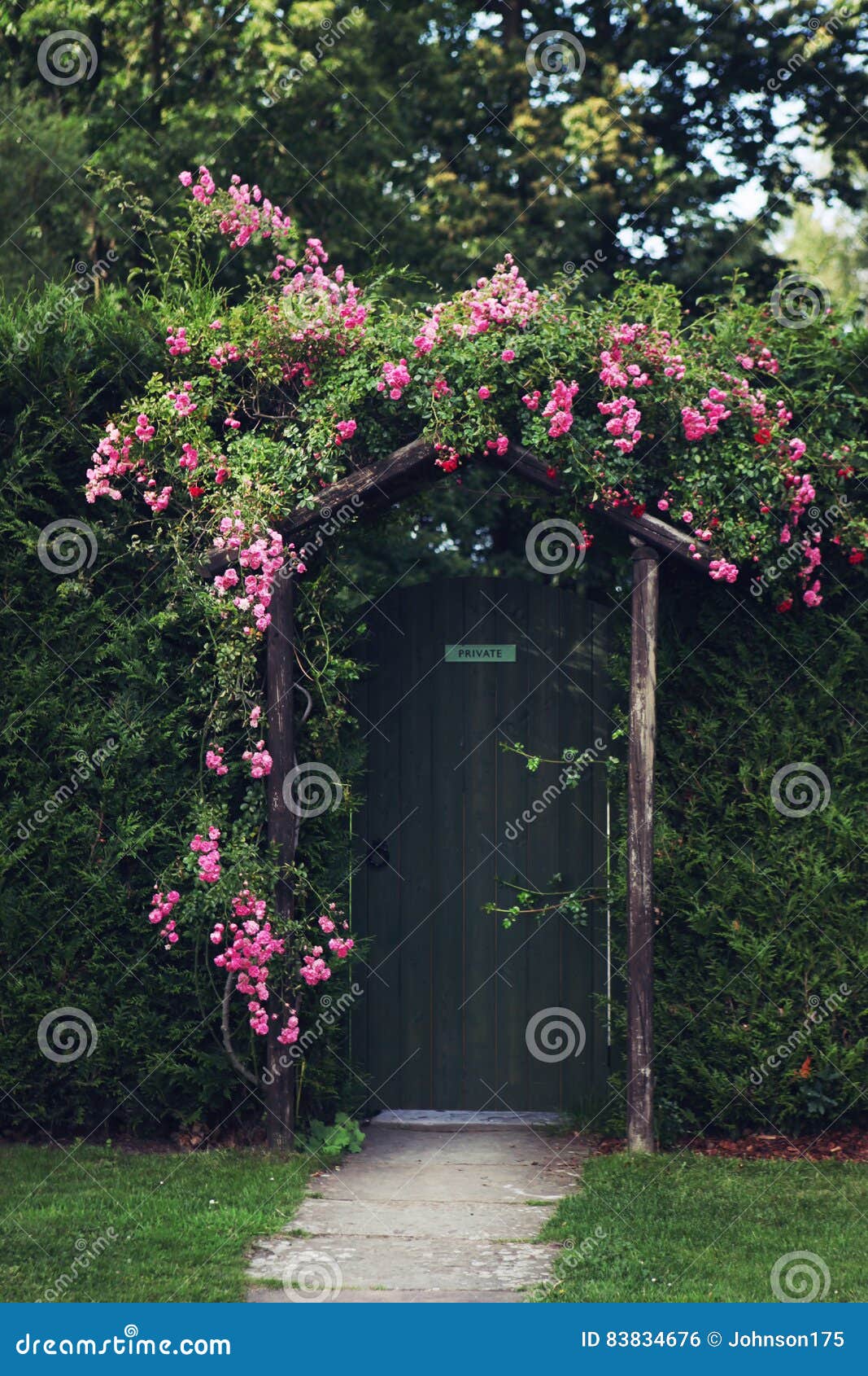 Rose Arch stock photo. Image of arch, gate, landscape - 83834676