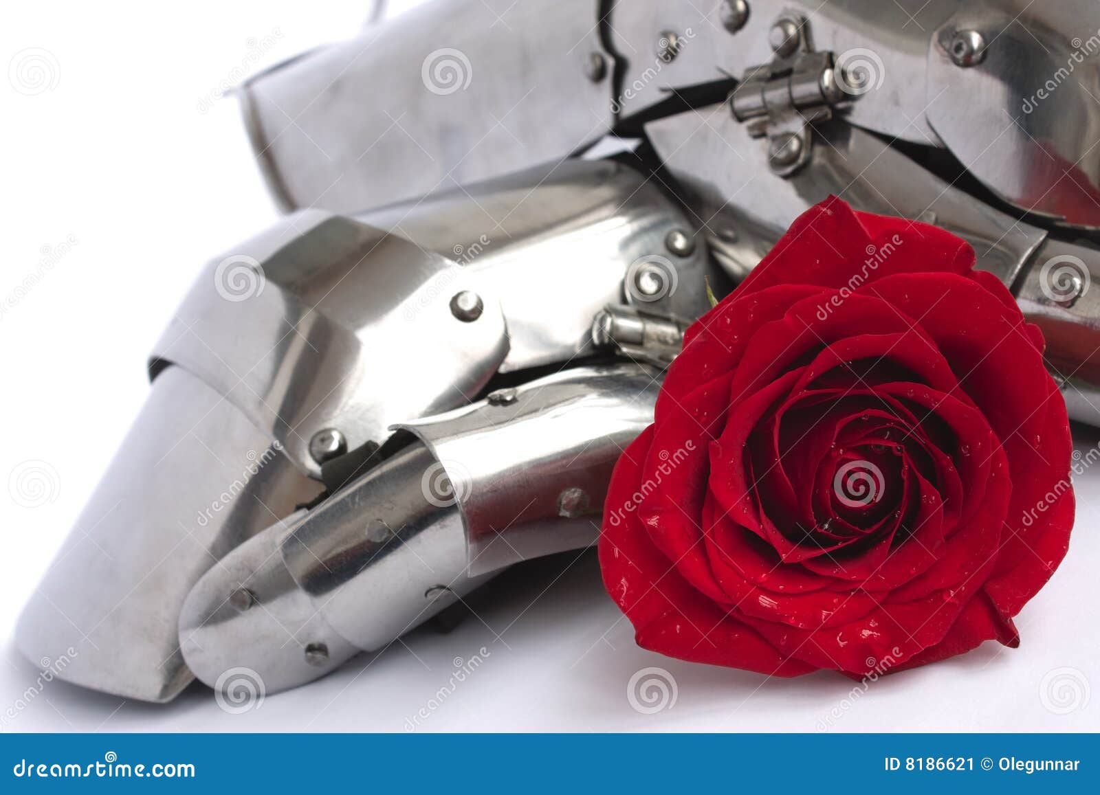 Rose and armor stock image. Image of gloves, armor, charming - 8186621